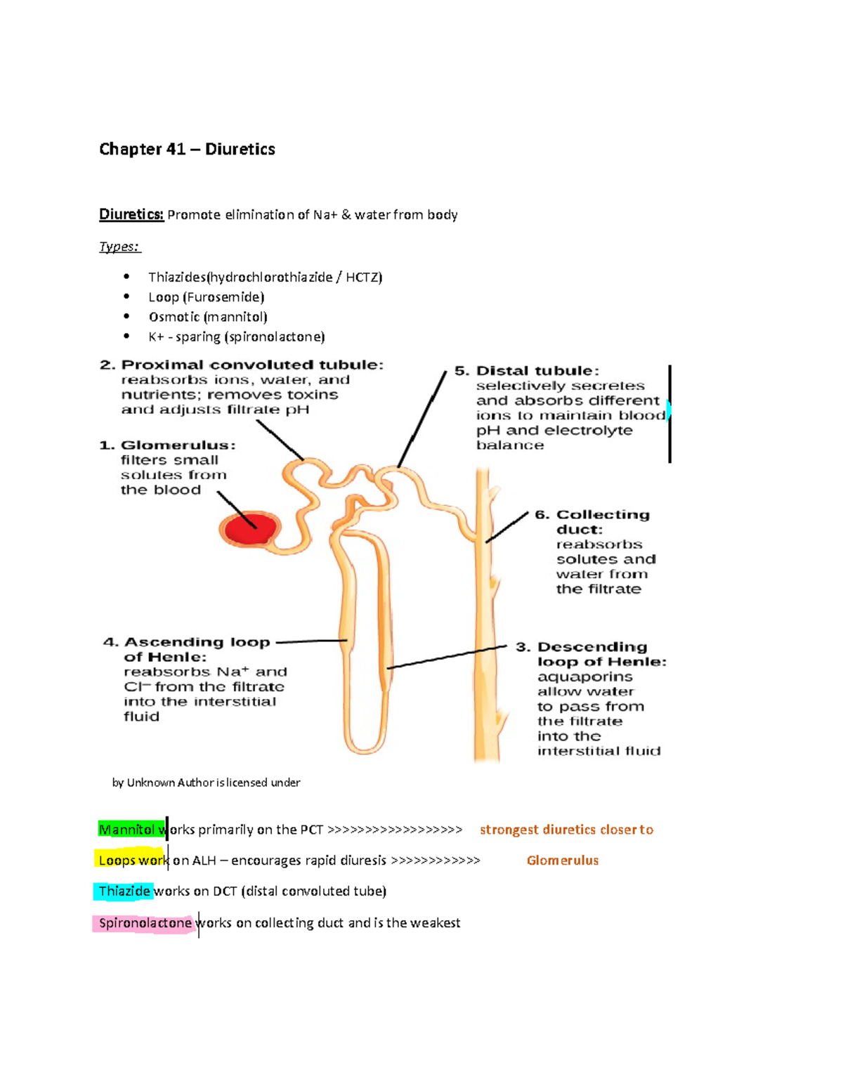 Chapter 41 - Diuretics - pharm - Chapter 41 – Diuretics Diuretics ...