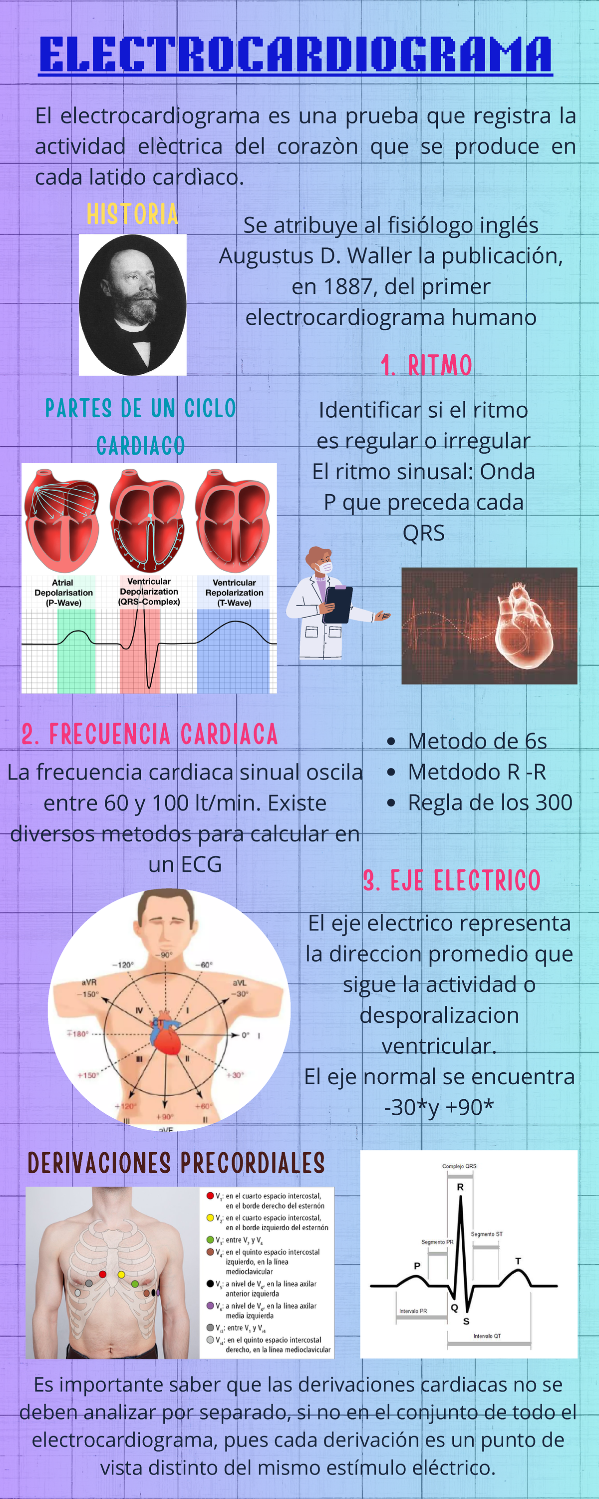 Electrocardiograma - Infografía de ECG - ELECTROCARDIOGRAMA PARTES DE ...