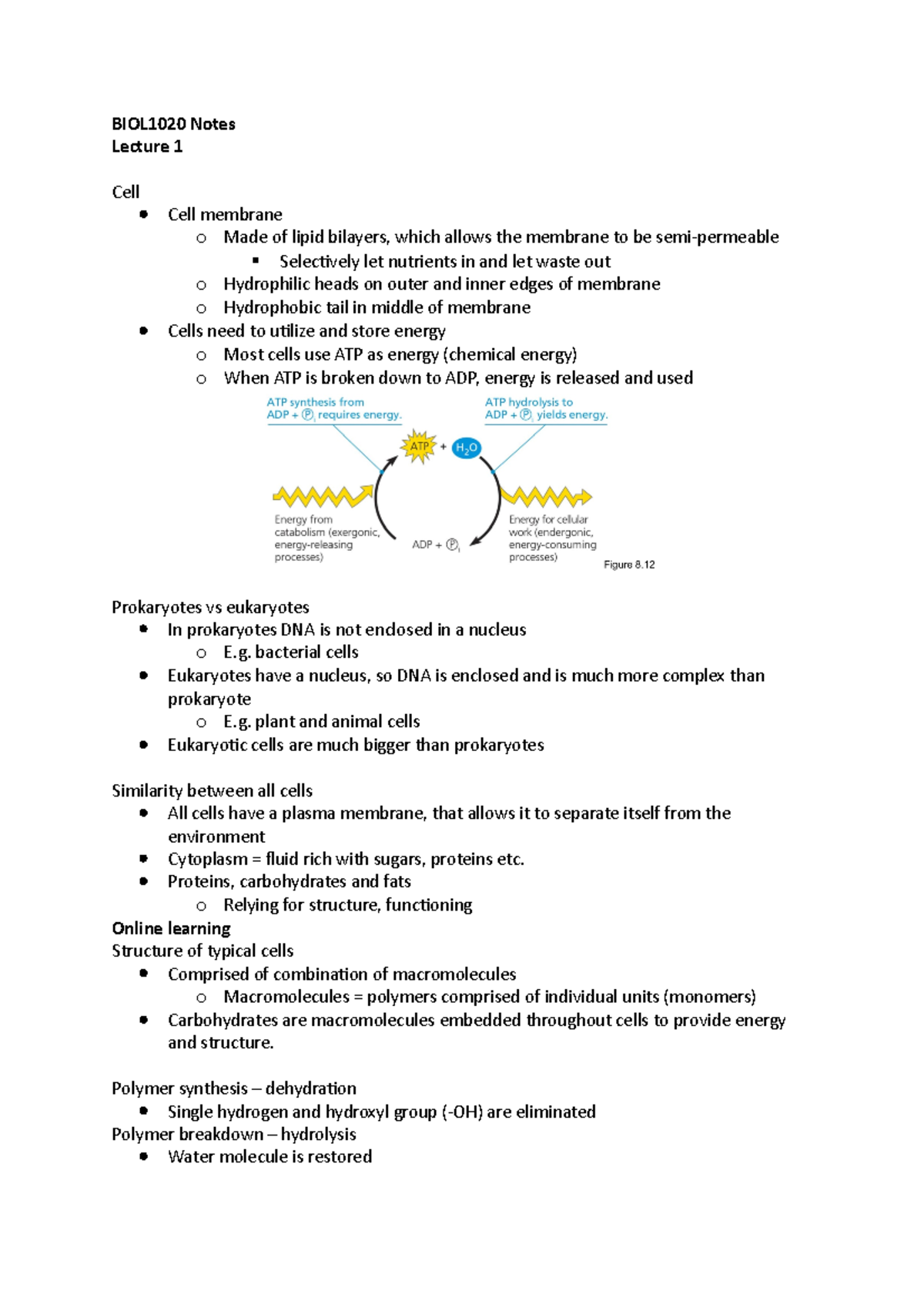UQ BIOL1020 Lecture notes - BIOL1020 Notes Lecture 1 Cell Cell membrane ...