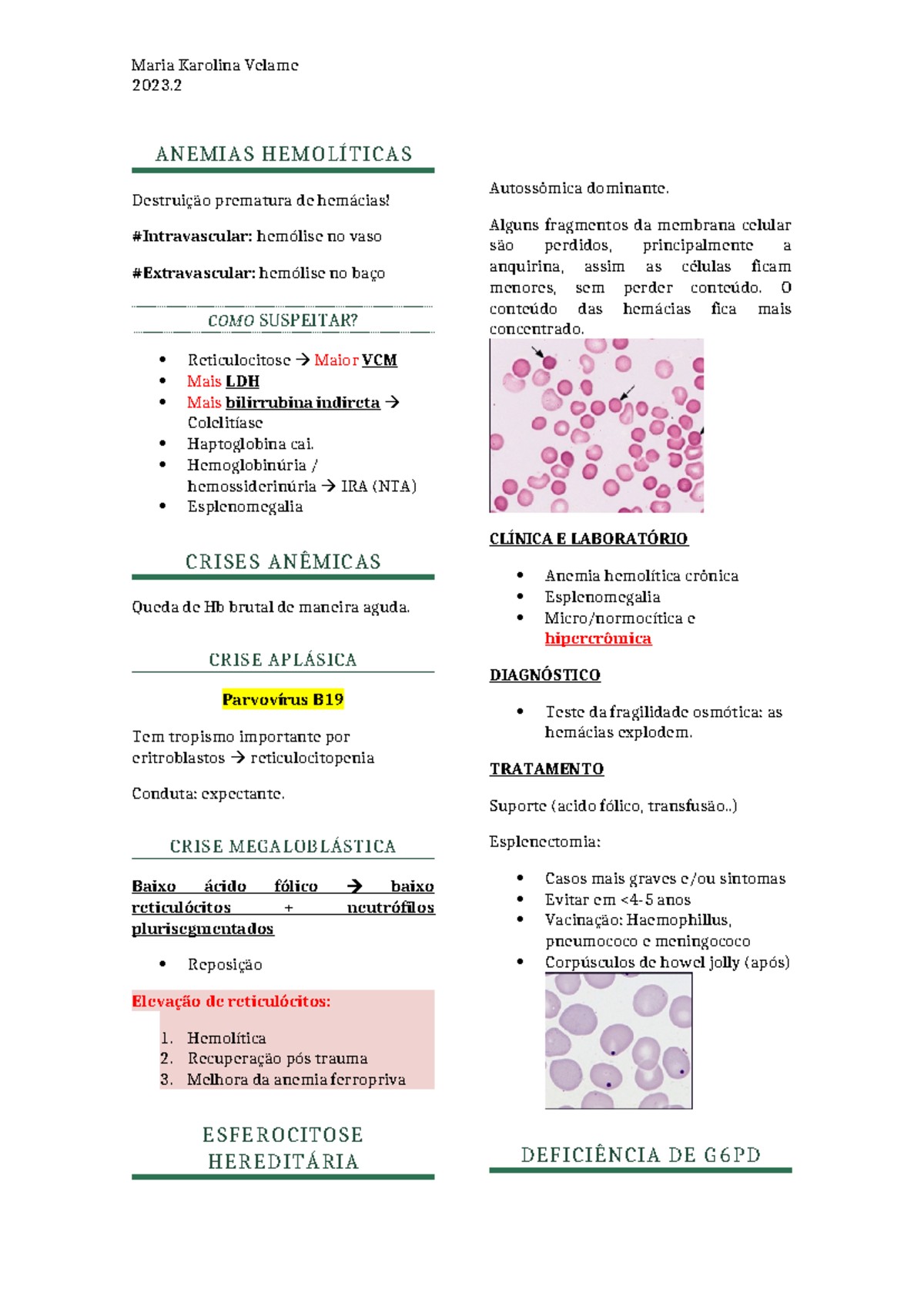 CM - Hematologia - Anemias Hemolí Ticas - 2023. ANEMIAS HEMOLÍTICAS ...
