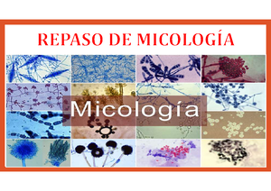 Tablas Farmacología increíblemente vergas bloque 1 y 2 - Warning: TT: undefined function: 32 ...