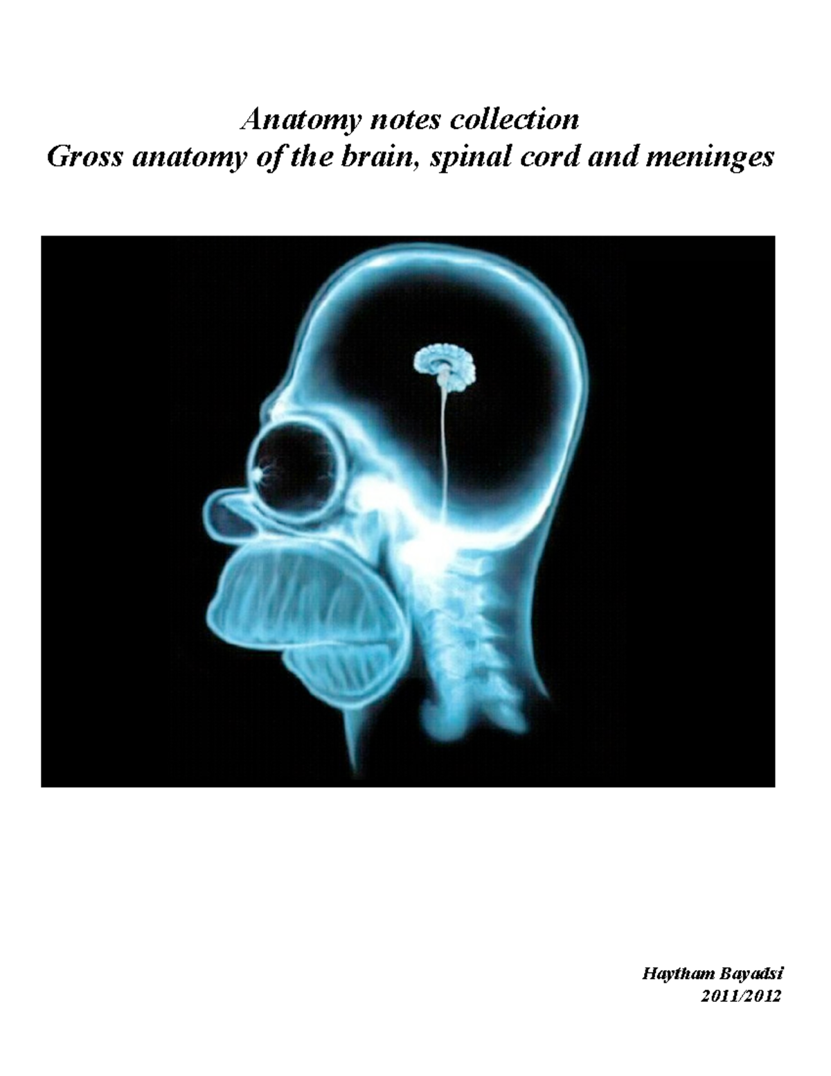 Gross Anatomy Of The Brain Anatomy Notes Collection Gross Anatomy Of