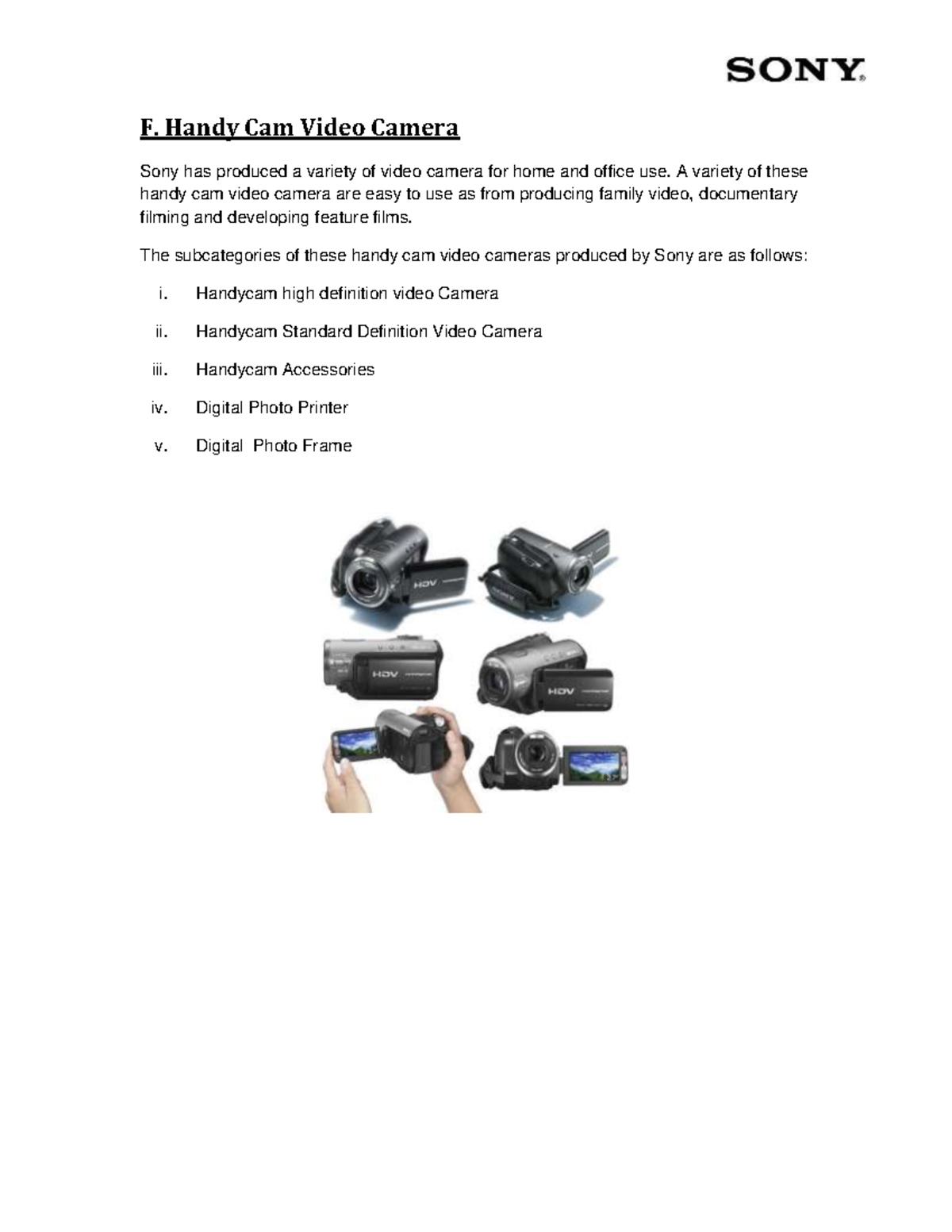 Project on Sonys Marketing Plan Present 13-15 - F. Handy Cam Video ...