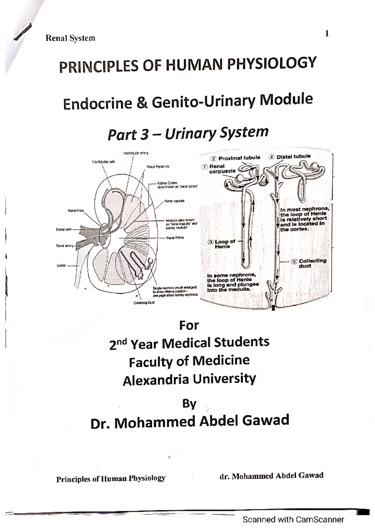 Lec 11 physiology - physiology pathology - Studocu