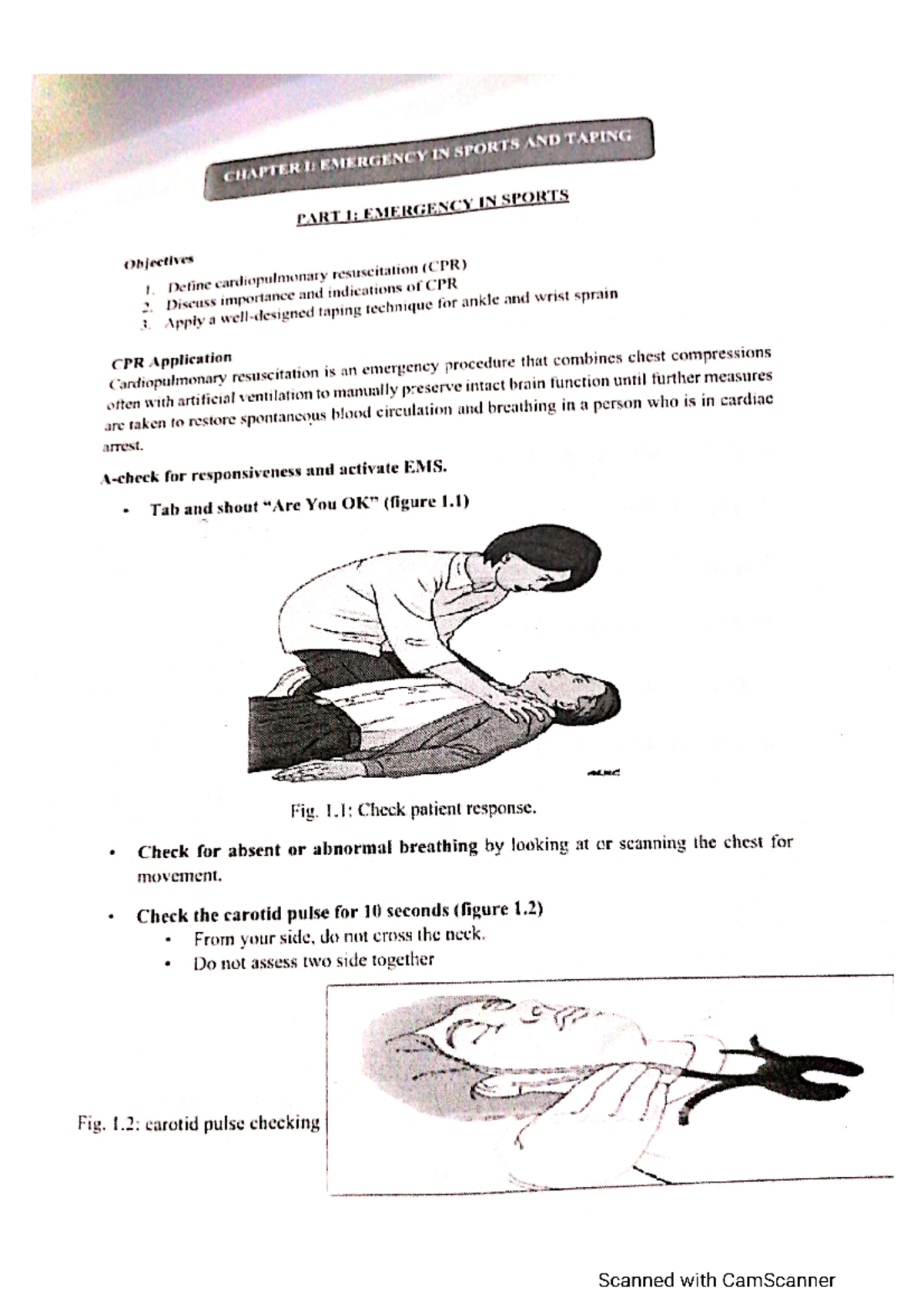 Emergency in sport - Physiology - Studocu