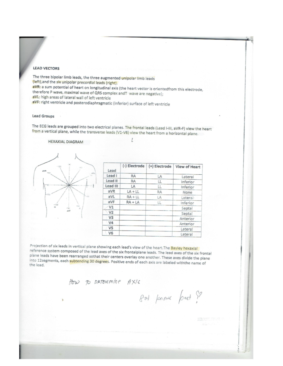 LEAD Vectors showing the axes of the heart - ECG reading - Studocu