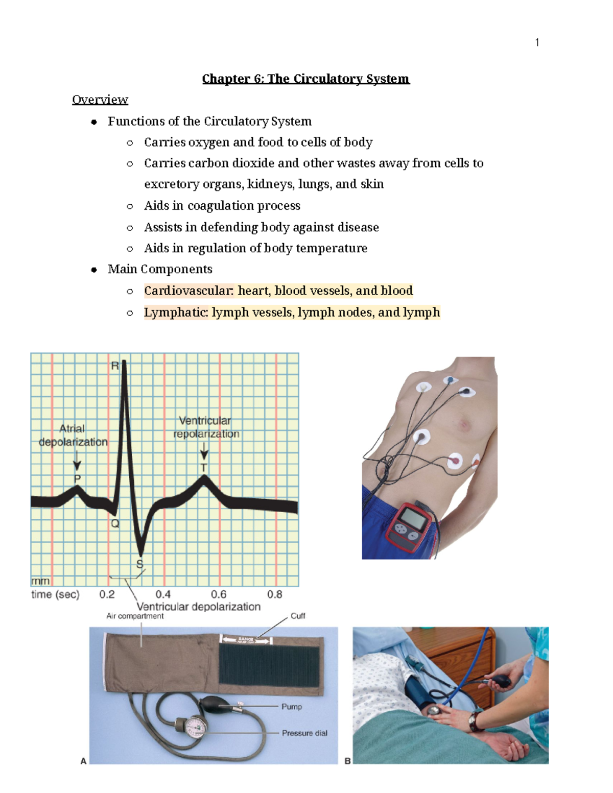 Chapter 6 Notes - **Chapter 6: The Circulatory System ** Overview ...