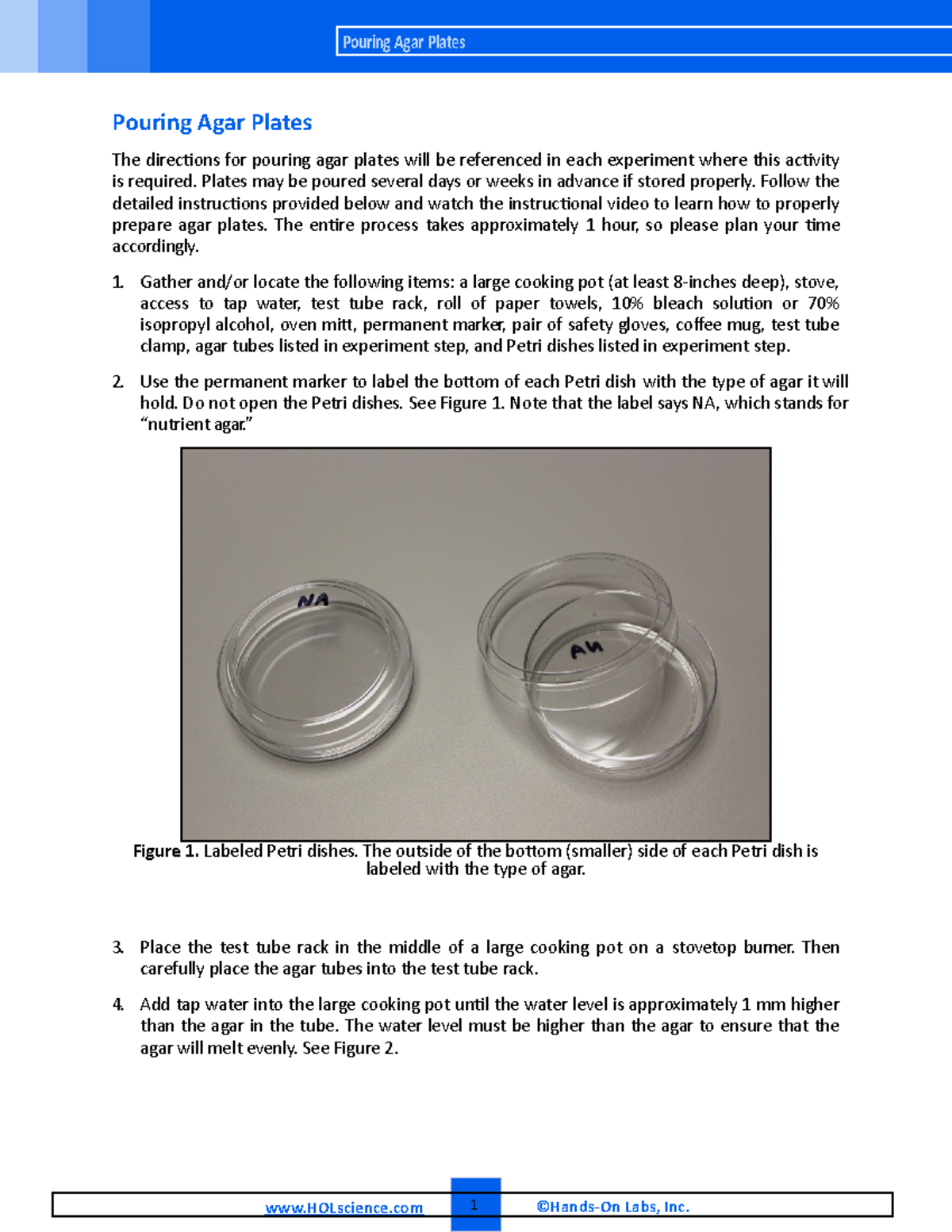 Pouring Agar Plates - It;s about Ubiquity Microorganism post lab review ...