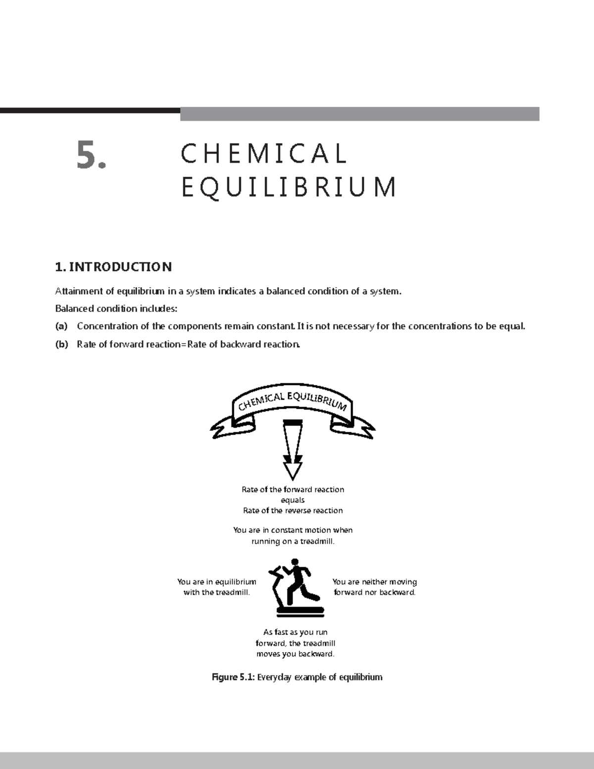 CHEMICAL-EQUILIBRIUM-THEORY.pdf - 1. INTRODUCTION Attainment of ...