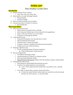 Women in the Workforce Final Exam Josh Graybill - Josh Graybill ...