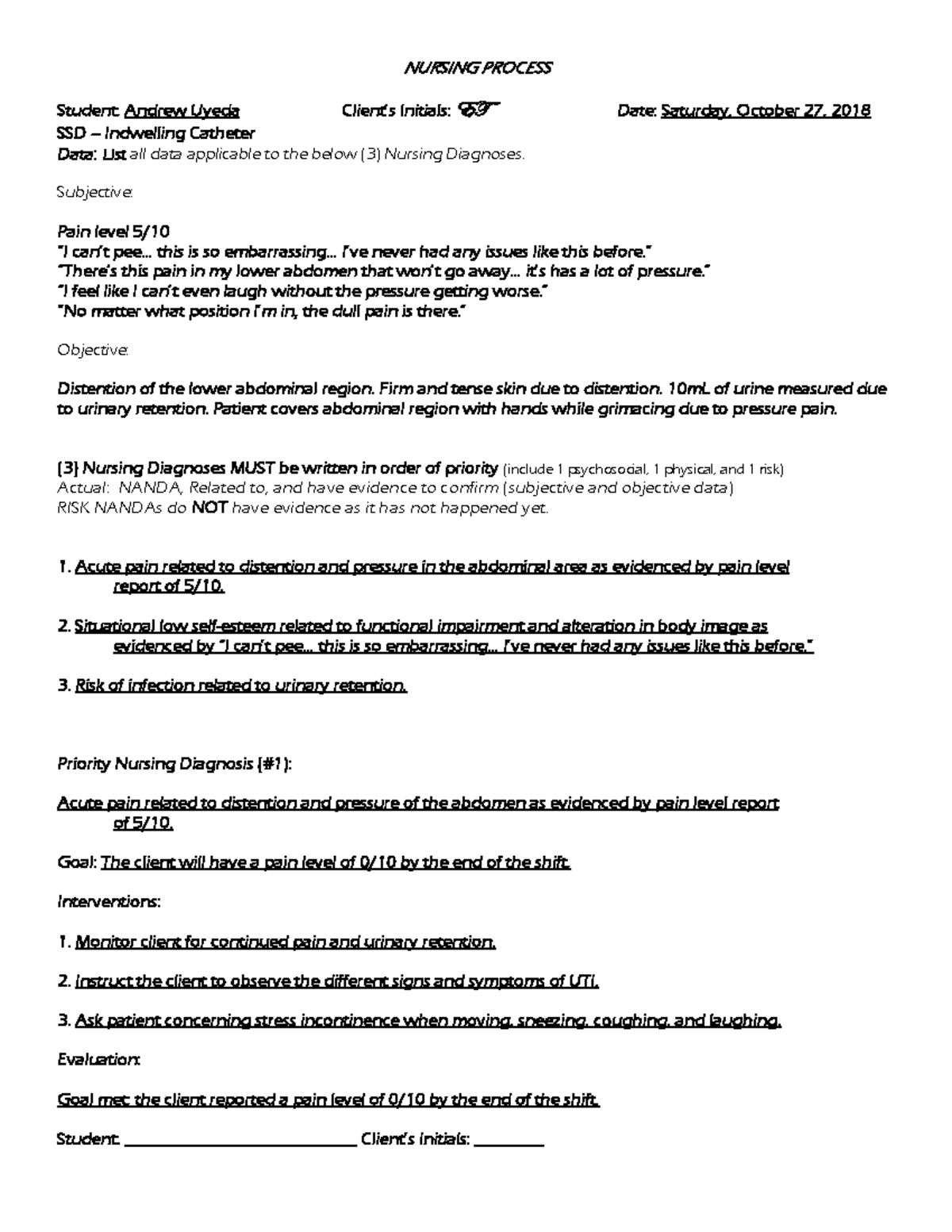 Nursing Process Form - SSD Indwelling Catheter - Fall 2018 - NURSING ...