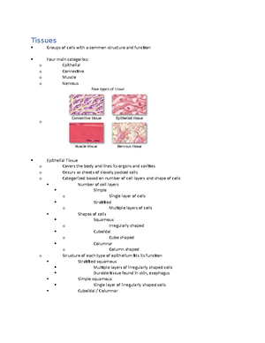 Human Anatomy Unit 1 - lecture material - Unit 1 Study Guide Chapter 1 ...