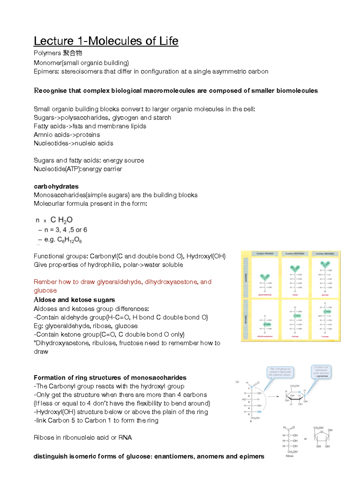 Biochemistry Lecture note - Lecture 1-Molecules of Life Polymers 聚合物 ...