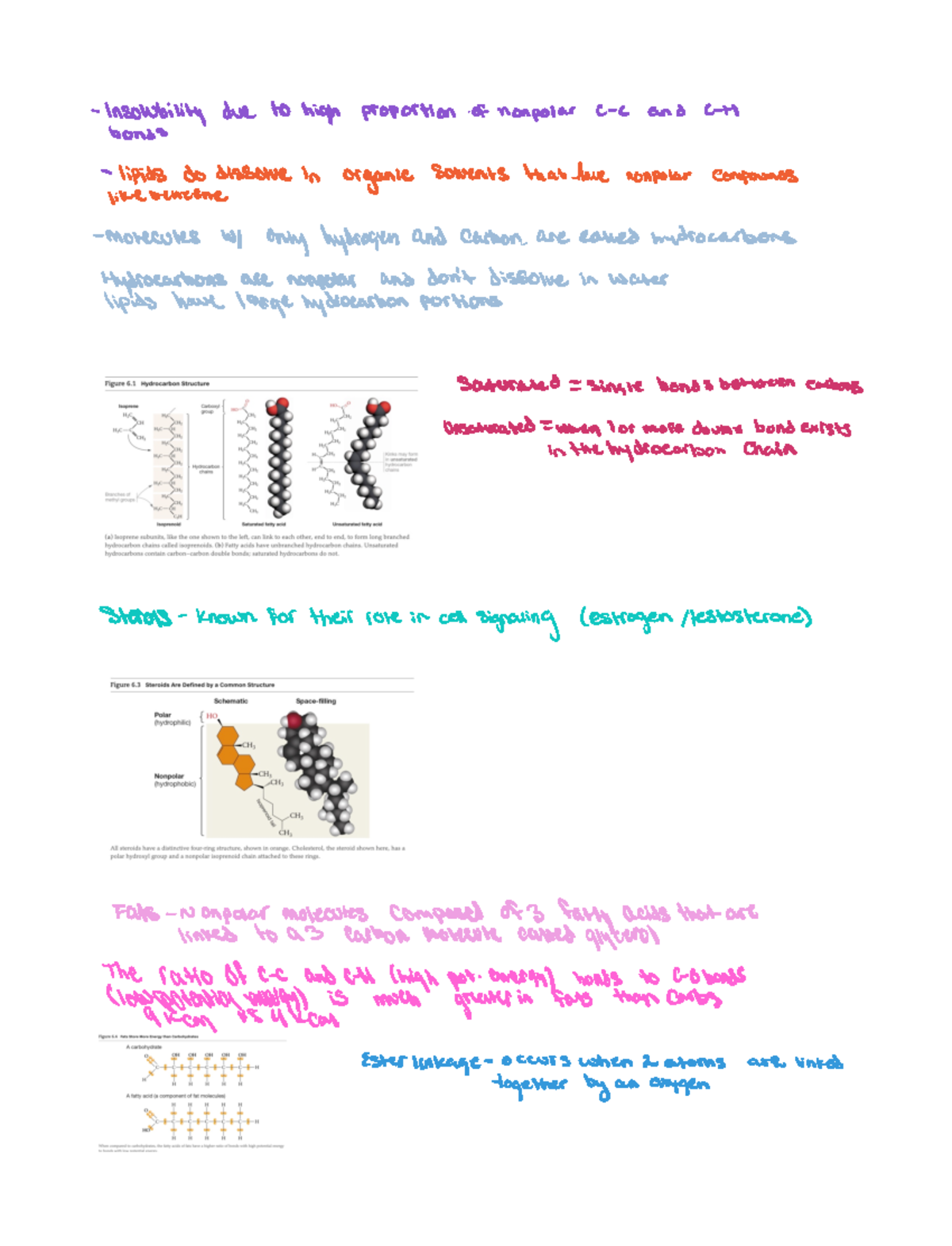 6.1 lipid structure and function - BIO 161 - Studocu