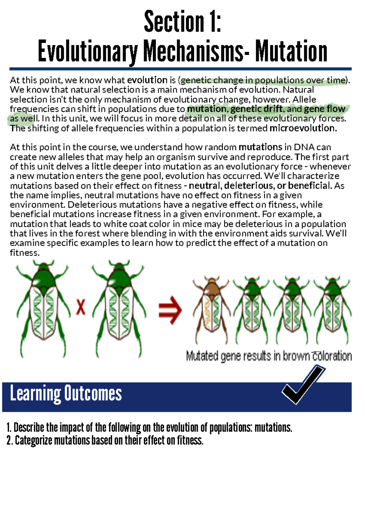 Section 1: Evolutionary Mechanisms- Mutation - We know that natural ...
