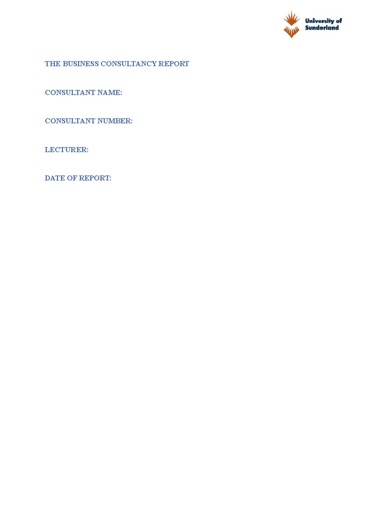 THE+ Business+ Consultancy+ Report+ Template - THE BUSINESS CONSULTANCY ...