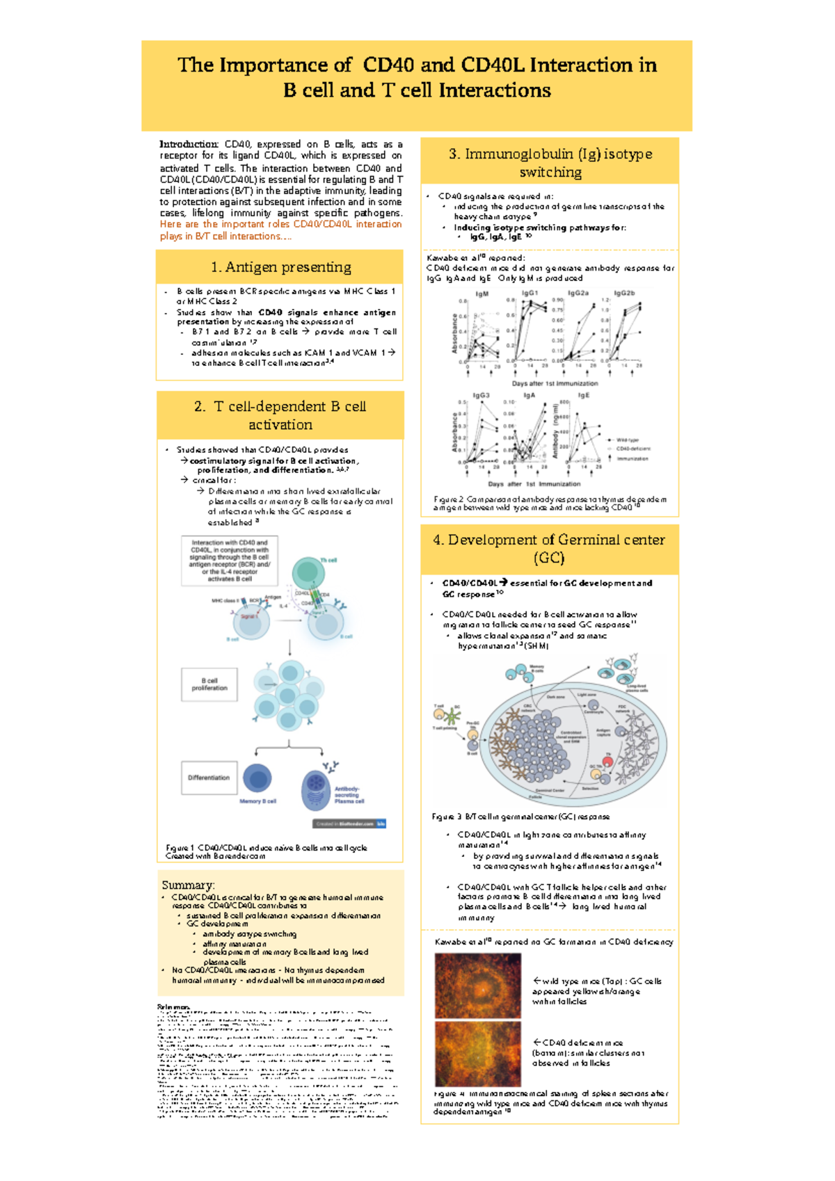 PBL 2 POSTER ASSIGNMENT - 2. T cell-dependent B cell activation Studies ...