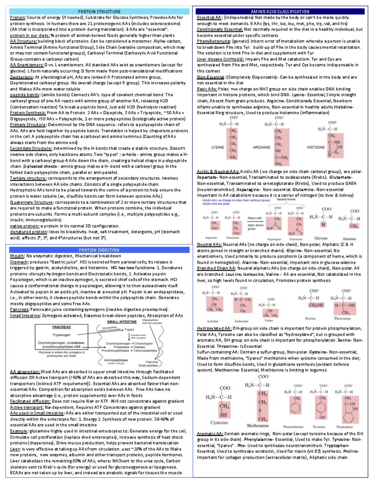 NUTR Final review - PROTEIN STRUCTURE Protein: Source of energy (if ...