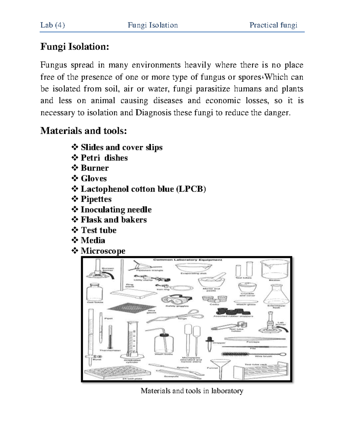 General mycology lab 4 - Fungi Isolation: Fungus spread in many ...
