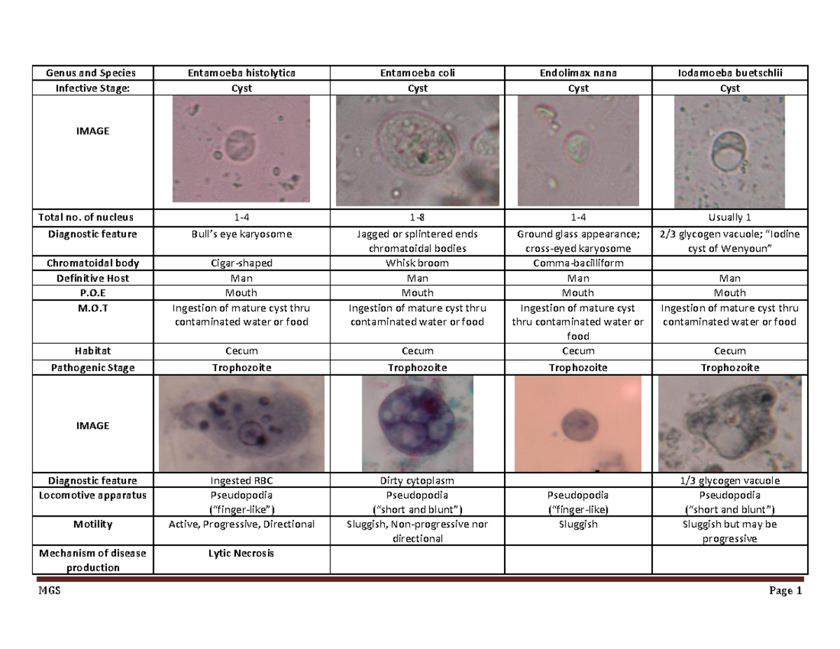 Parasitology Lab Prelim TO Finals - Genus and Species Entamoeba ...