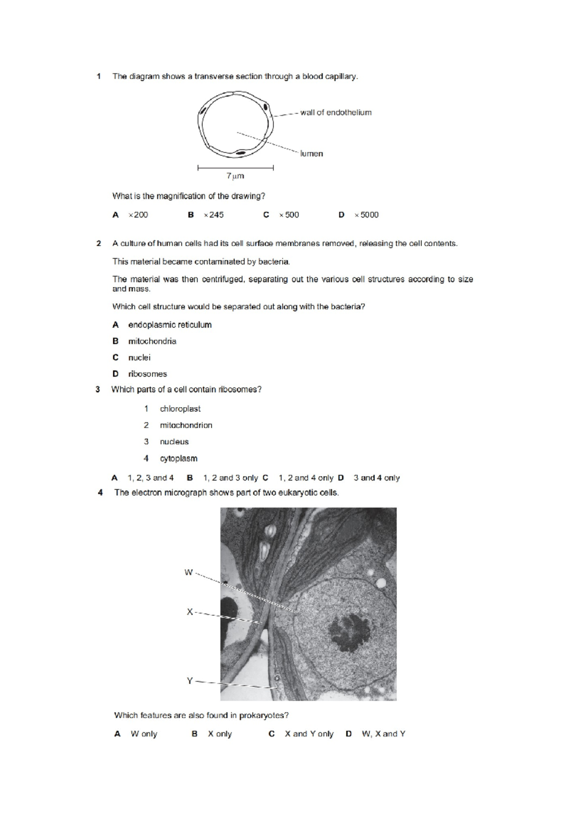 BIO MCQ 2016 3 - MCQ of Biology - 1 The diagram shows a transverse ...
