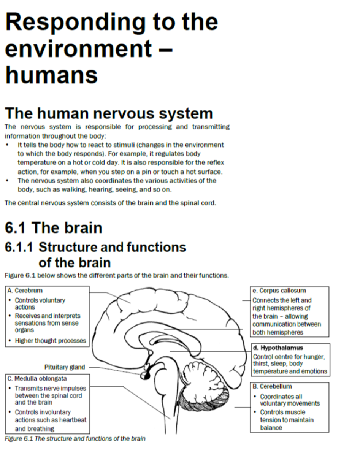 science grade 12 notebook learns guide m - Responding to the ...