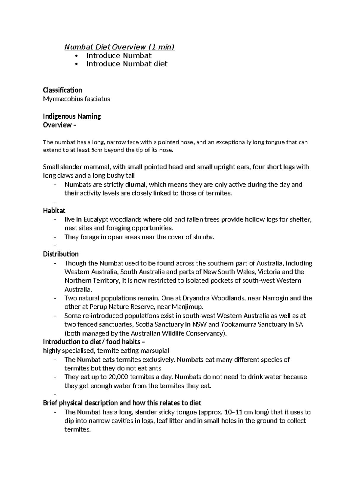 Numbat Diet Overview - Small slender mammal, with small pointed head ...