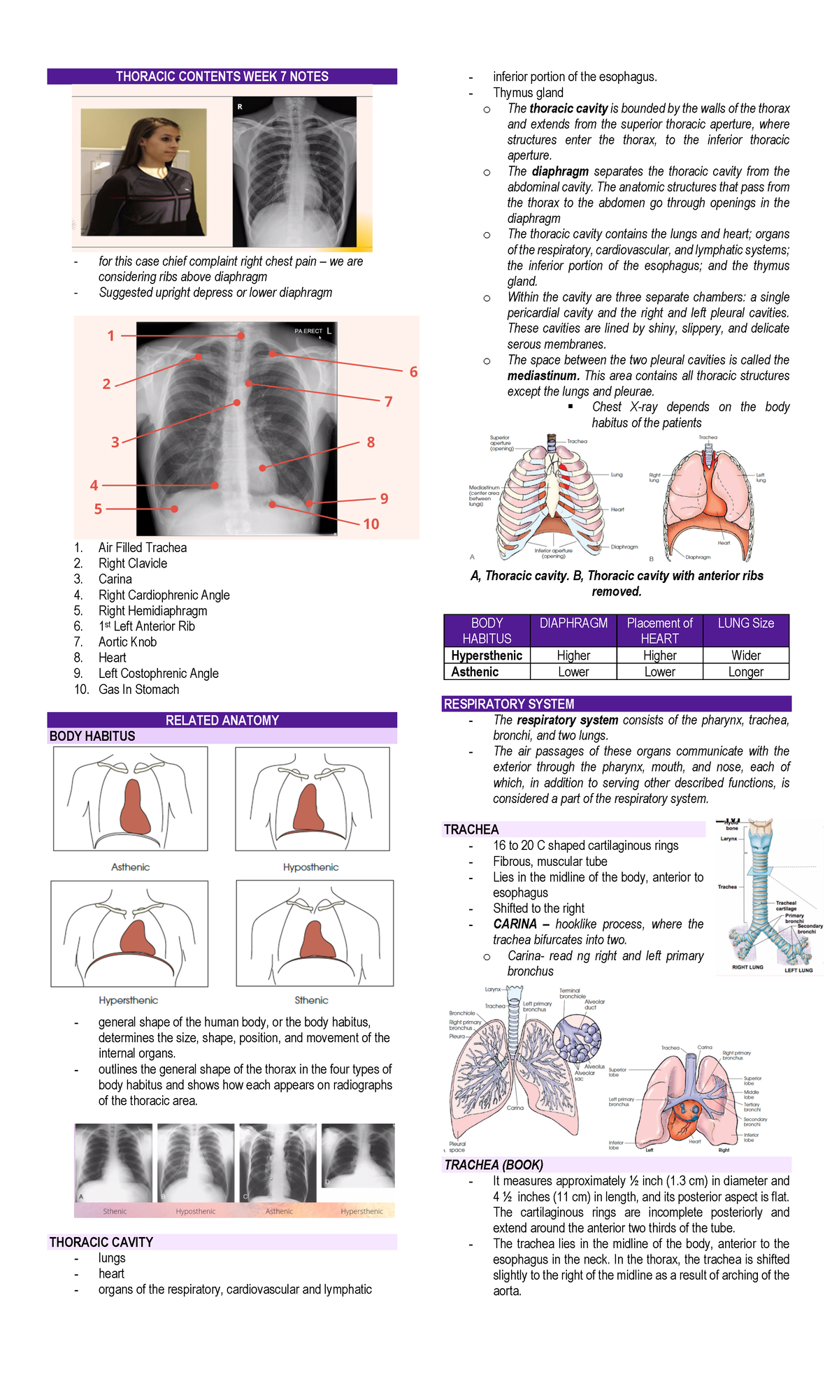 Week 7 Notes - Thoracic Content Radiographic Positioning - THORACIC ...