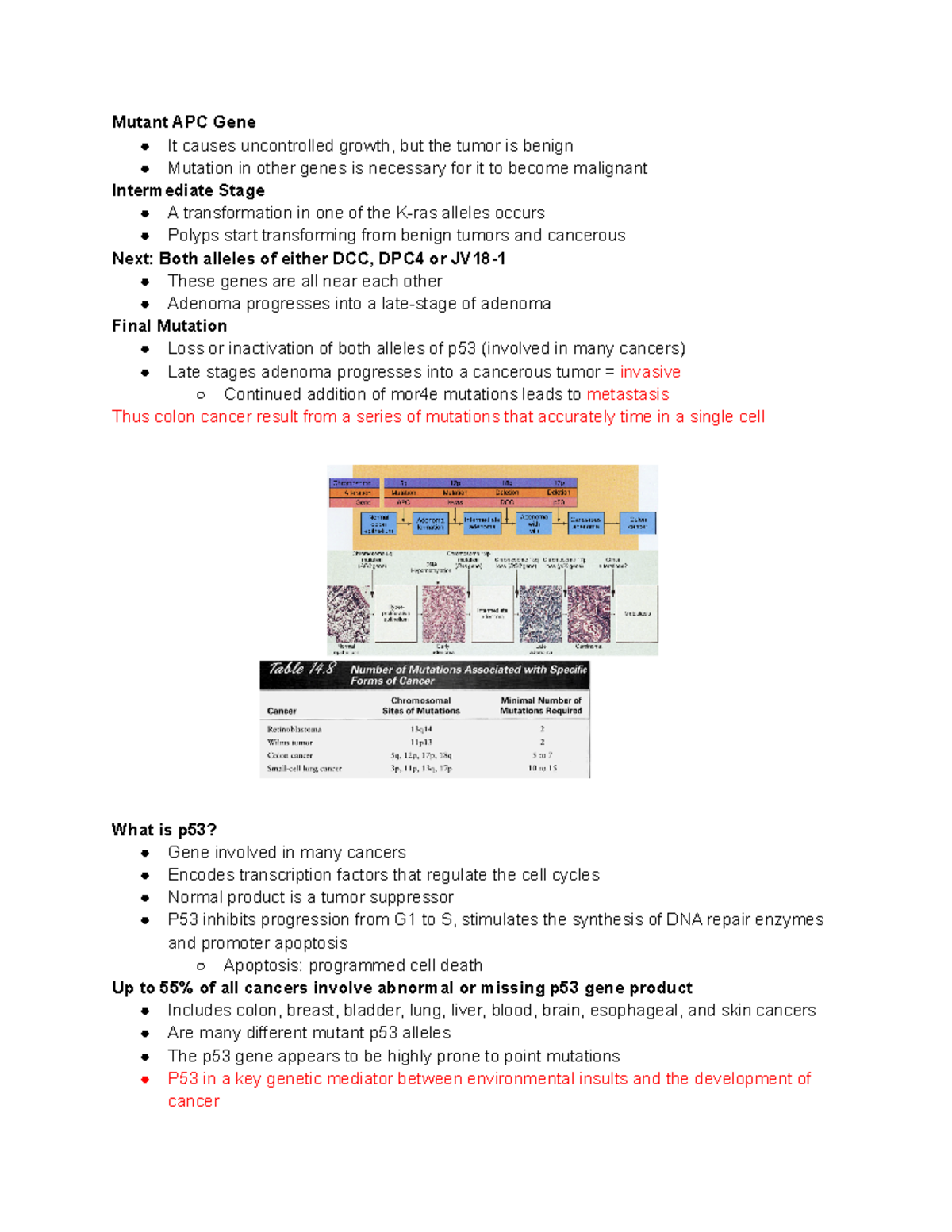PHH Lecture 11 Part 4 - Mutant APC Gene It causes uncontrolled growth, but the tumor is benign ...