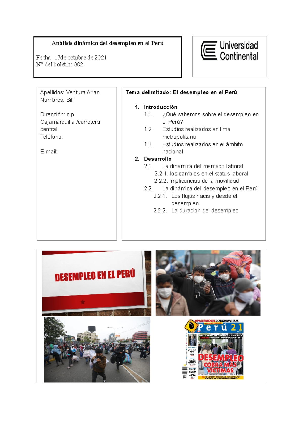 El desempleo en el peru - Análisis dinámico del desempleo en el Perú ...