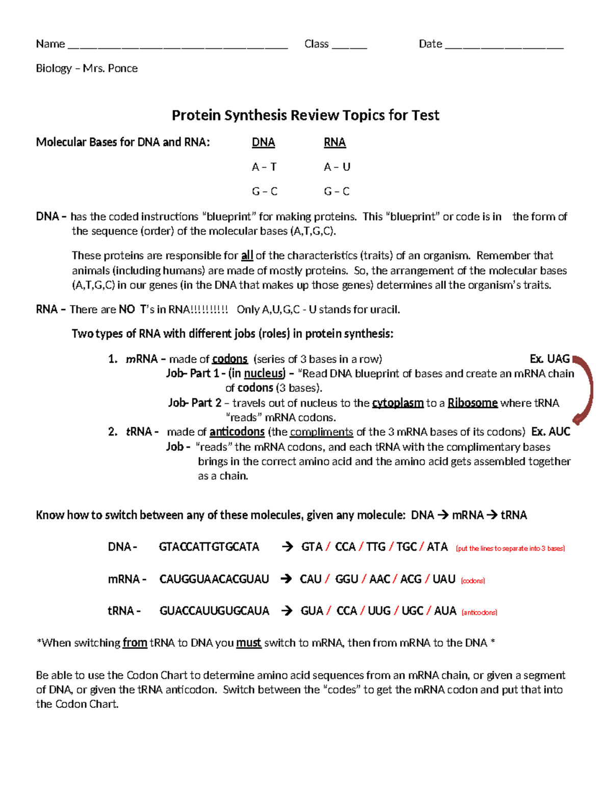 Review Topics sheet for test DNA AND RNA - Name ...