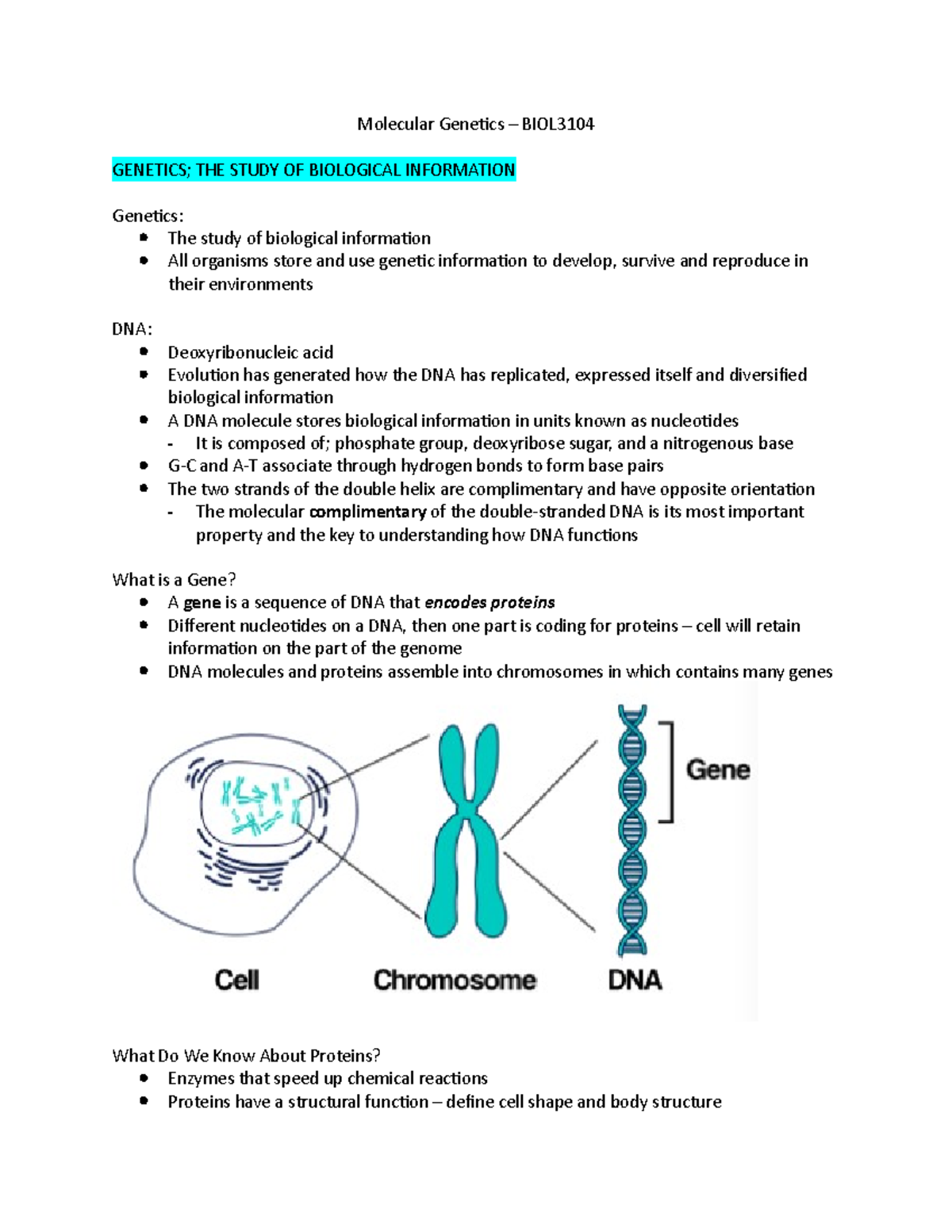 BIOL3104 midterm 1 - Molecular Genetics – BIOL GENETICS; THE STUDY OF ...