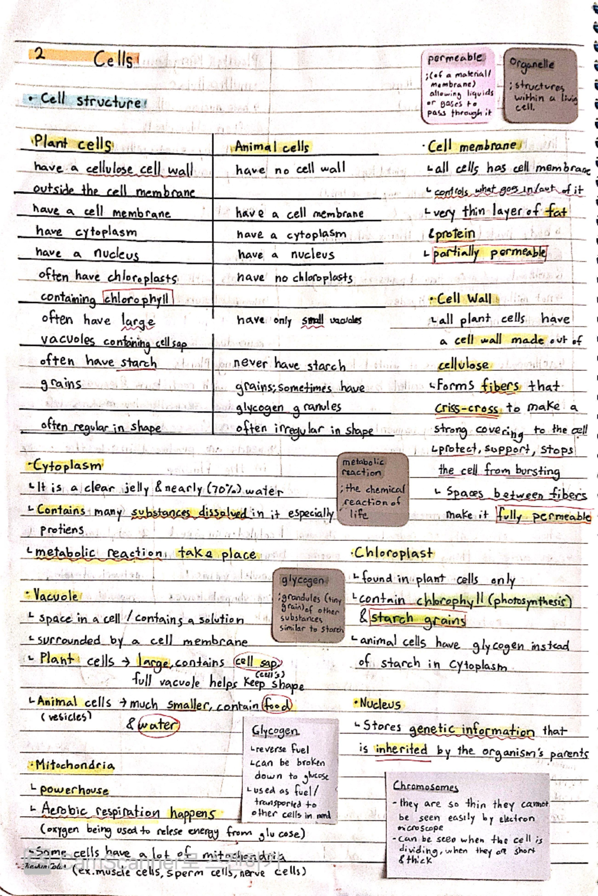 Unit 2 (Cells) - Biology SL - Studocu