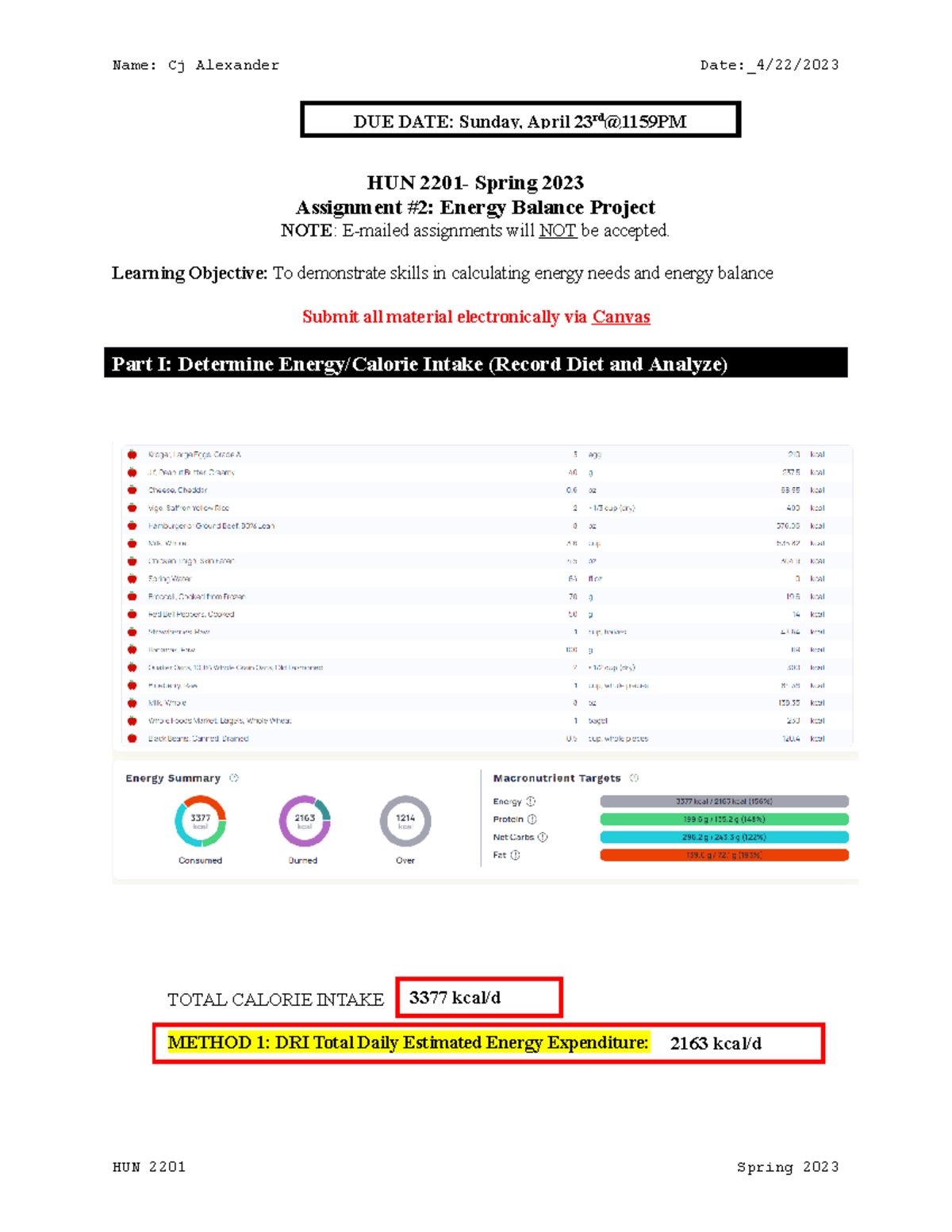 Energy Balance Worksheet HUN - HUN 2201- Spring 2023 Assignment #2 ...