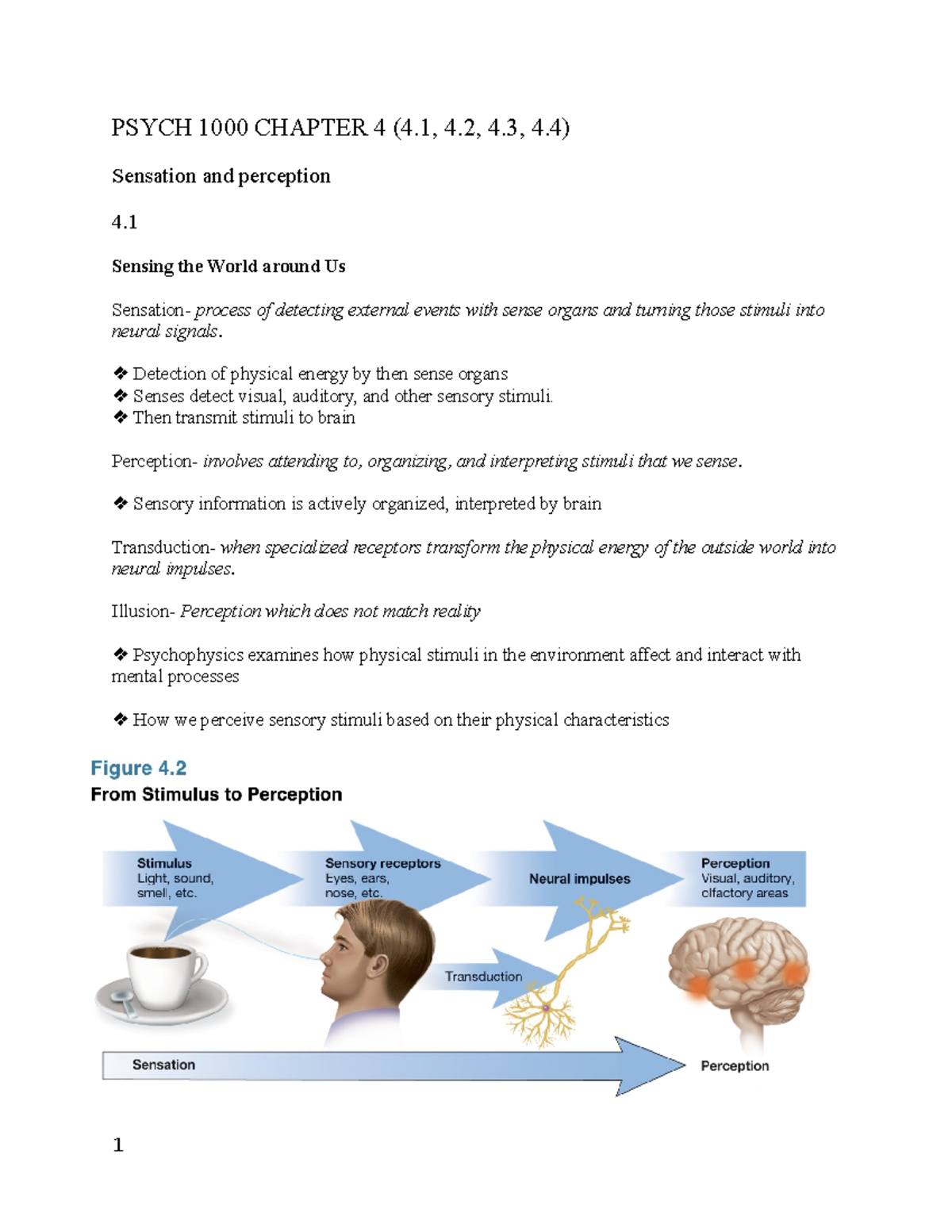 Psych chapter 4 - Sensory and perception - PSYCH 1000 CHAPTER 4 (4, 4 ...