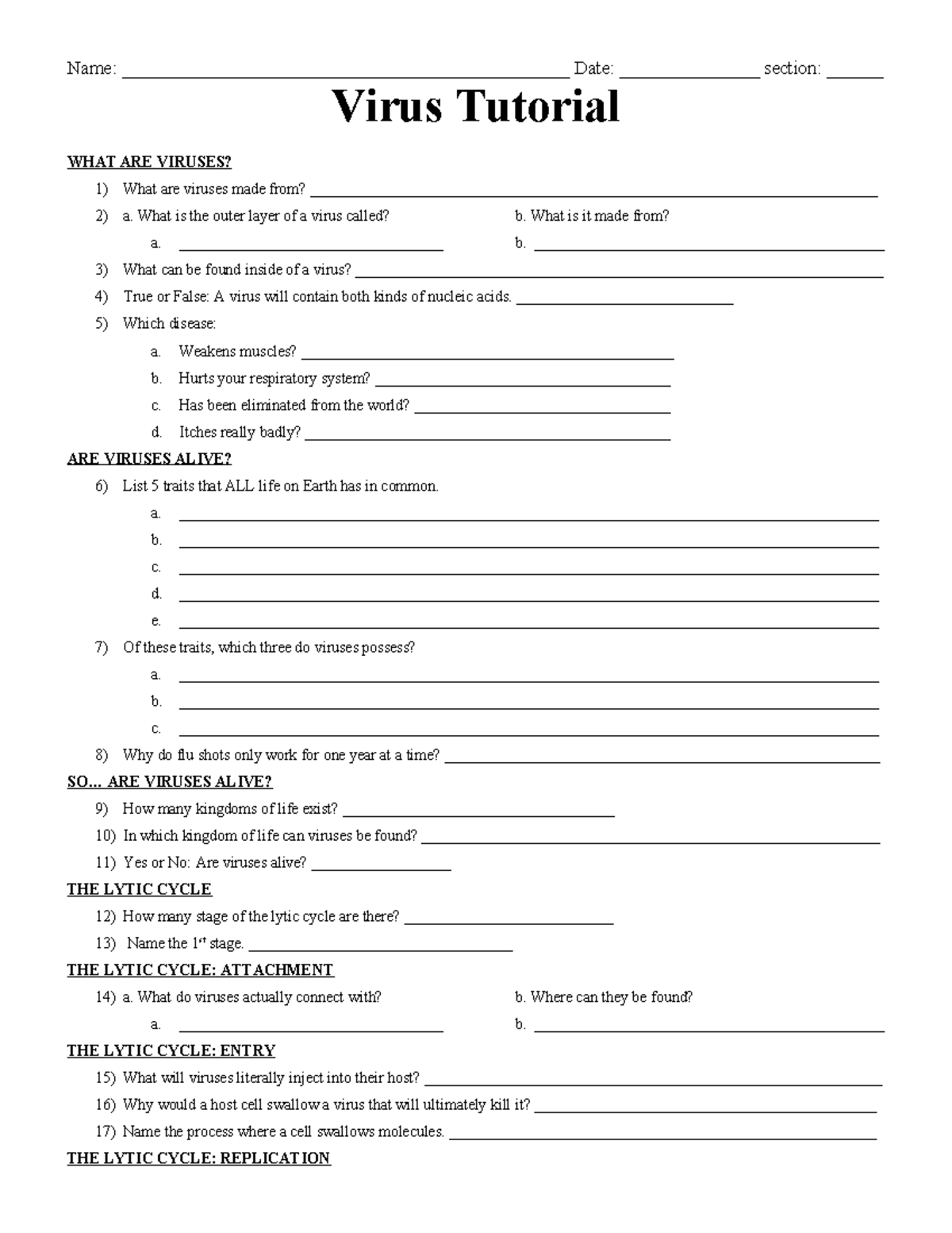 Student Worksheet virus - Name ...