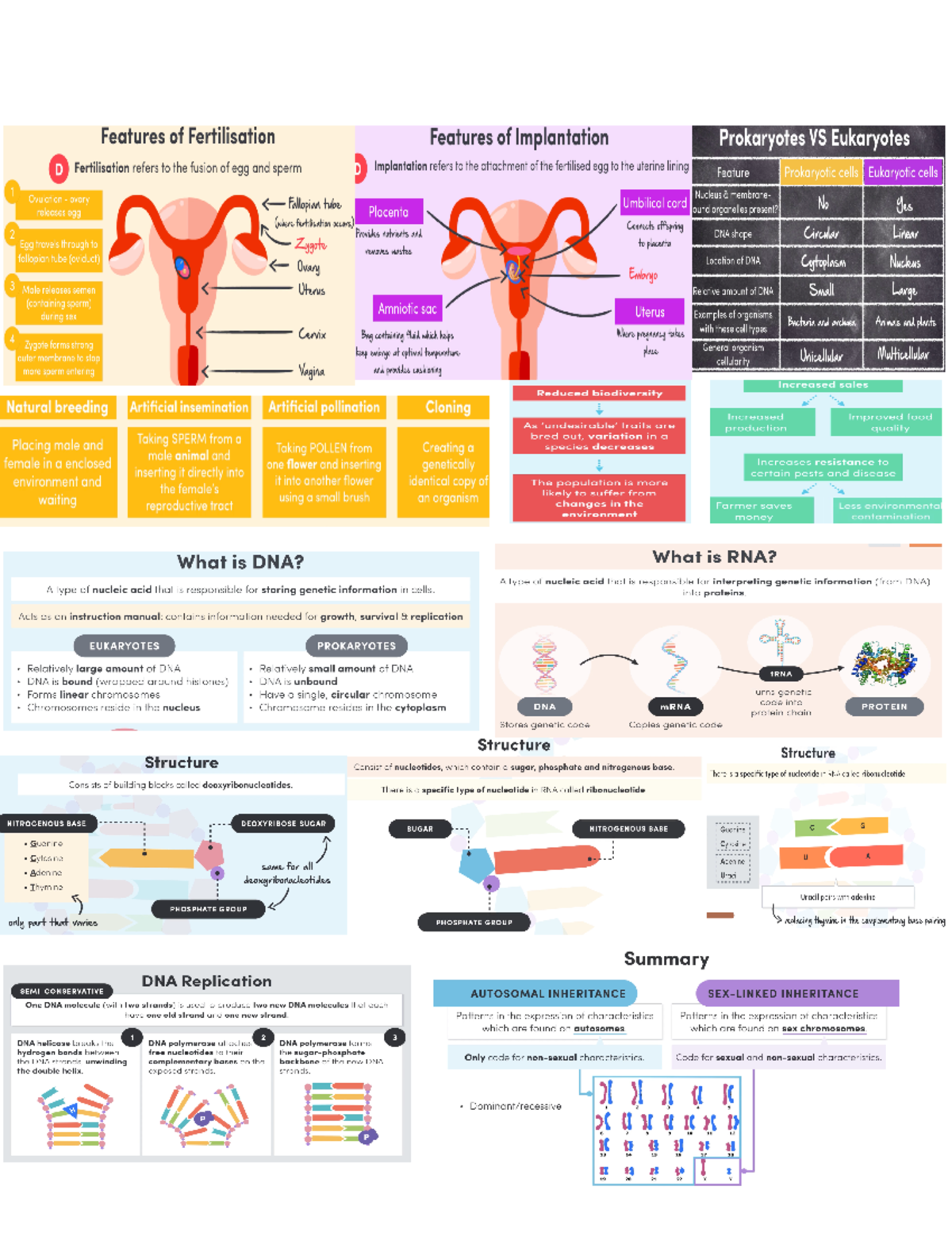 Biology Notes for assessment - Studocu