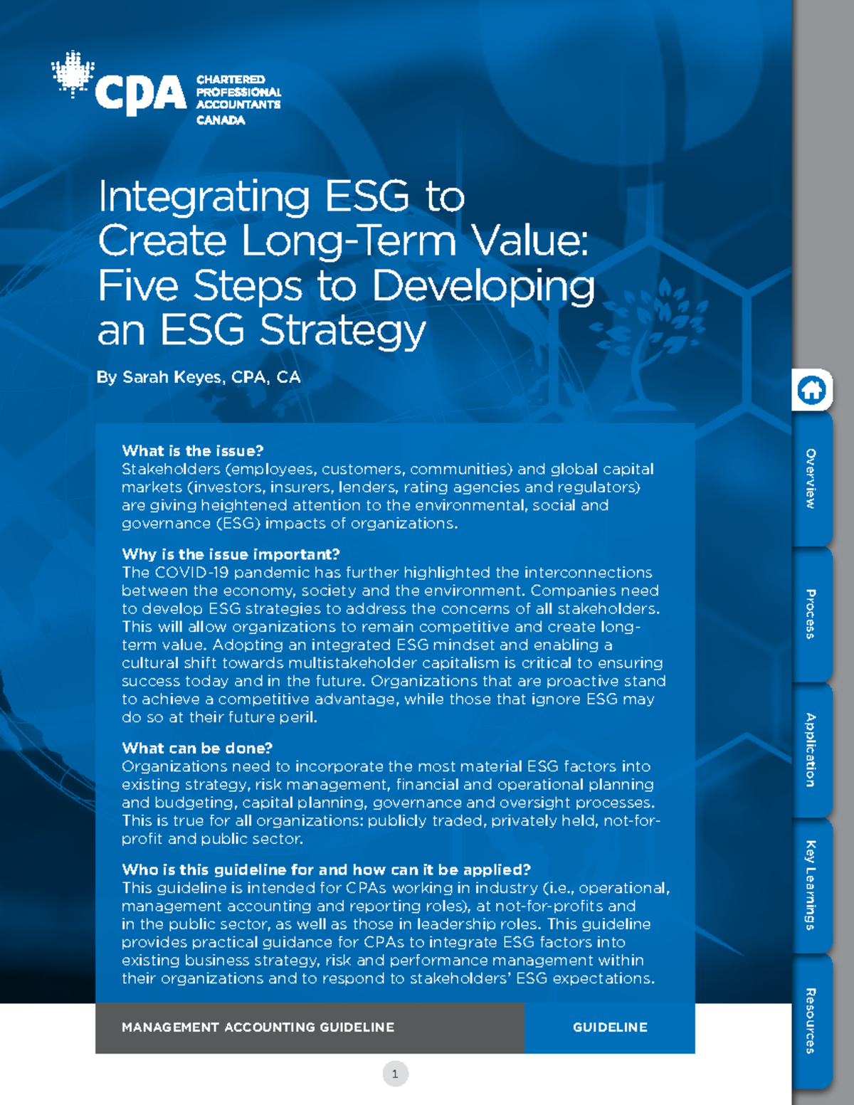 02931 RG Integrating ESG Five Steps Guideline - Resources Key Learnings ...