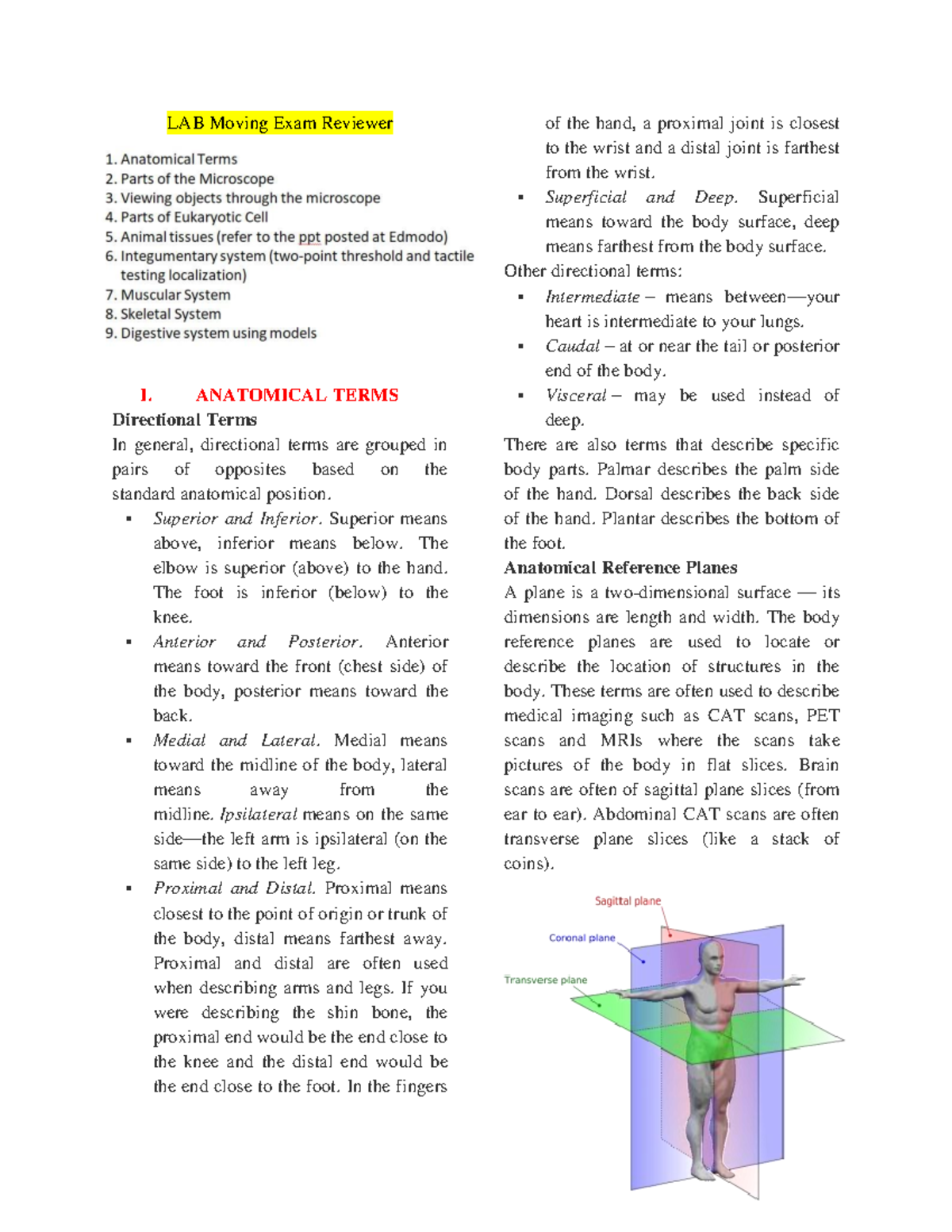 Human Anatomy and Physiology - LAB Moving Exam Reviewer - LAB Moving ...