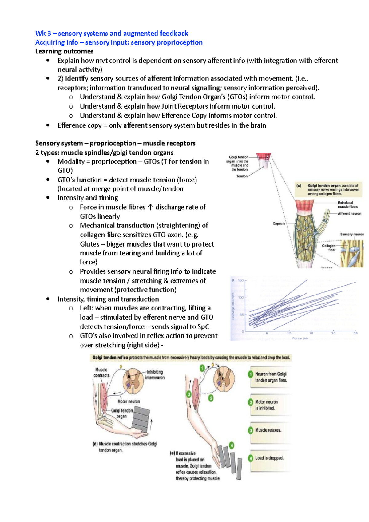 Wk 3 sensory systems and augmented feedback summaries - Wk 3 – sensory ...