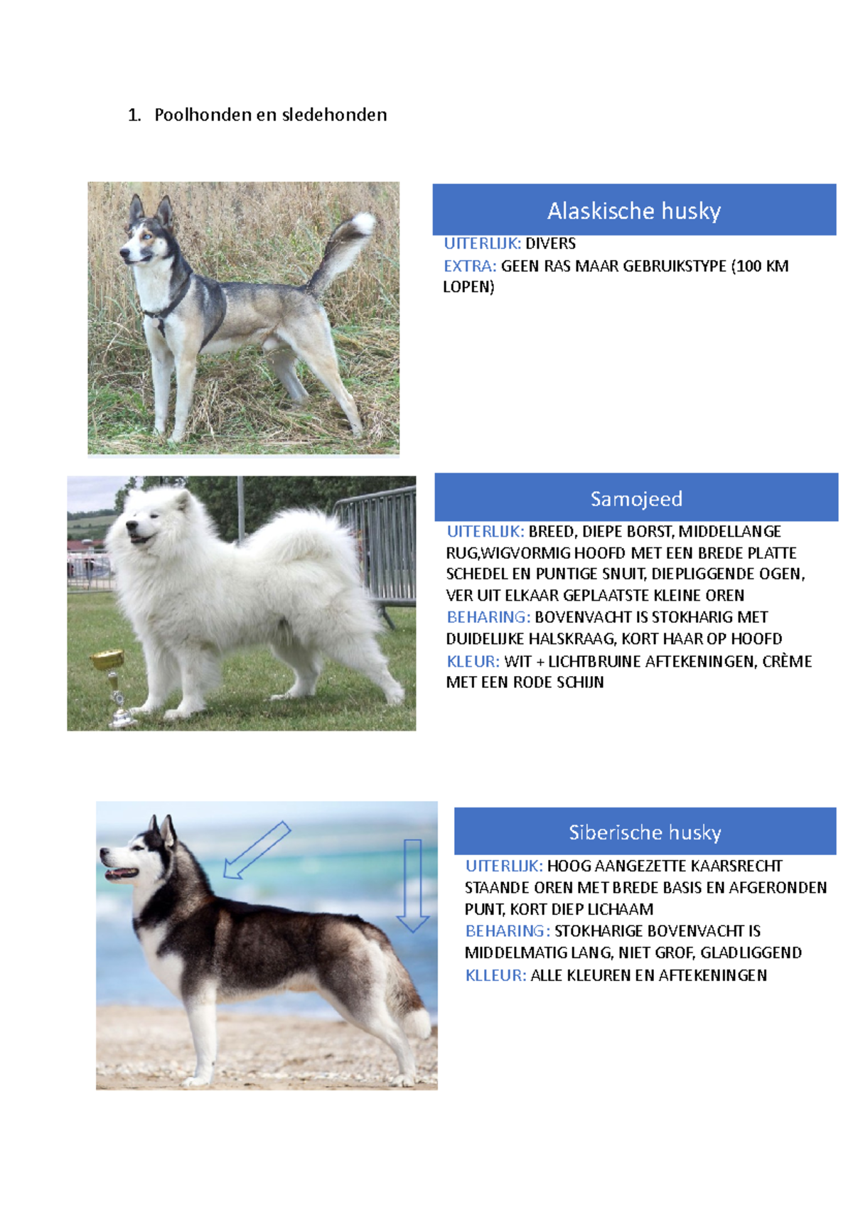 Keeshonden rassenleer - 1. Poolhonden en sledehonden Samojeed UITERLIJK ...