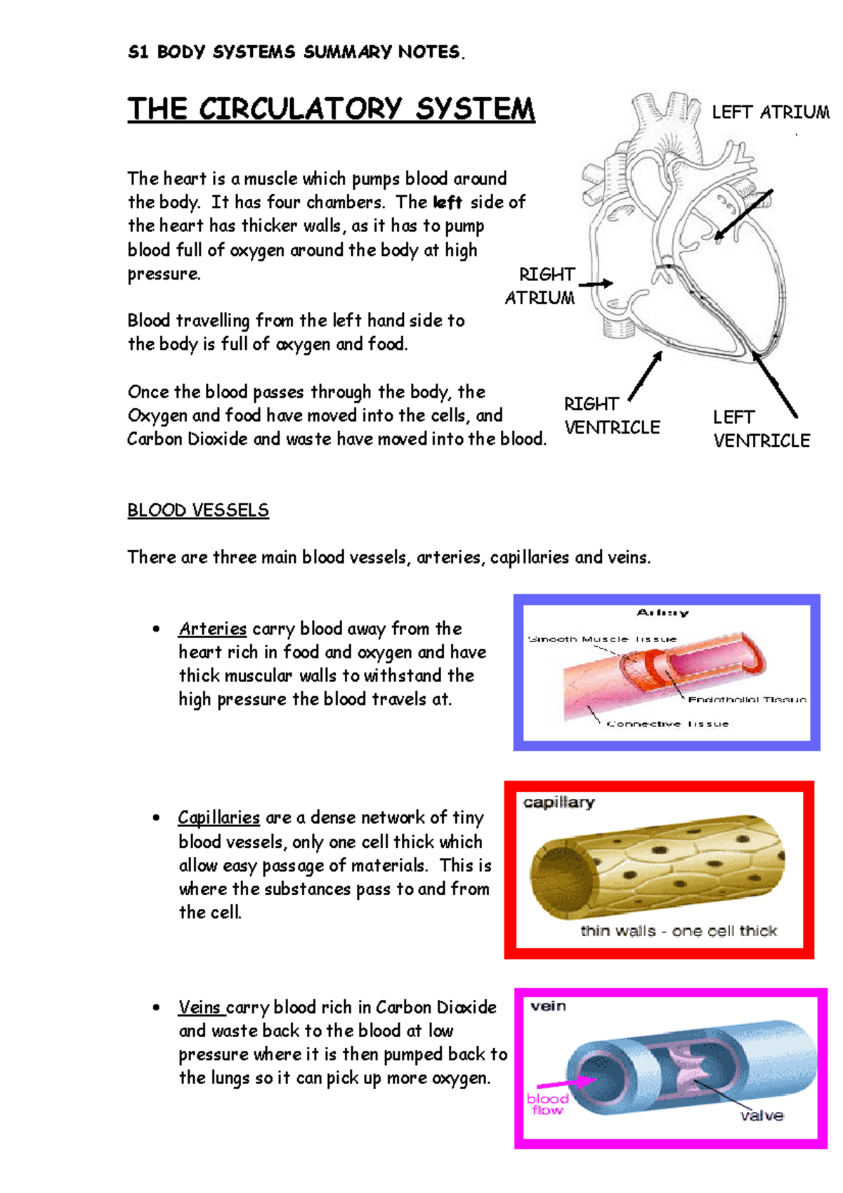 BODY Systems Summary Notes for nursing - S1 BODY SYSTEMS SUMMARY NOTES ...