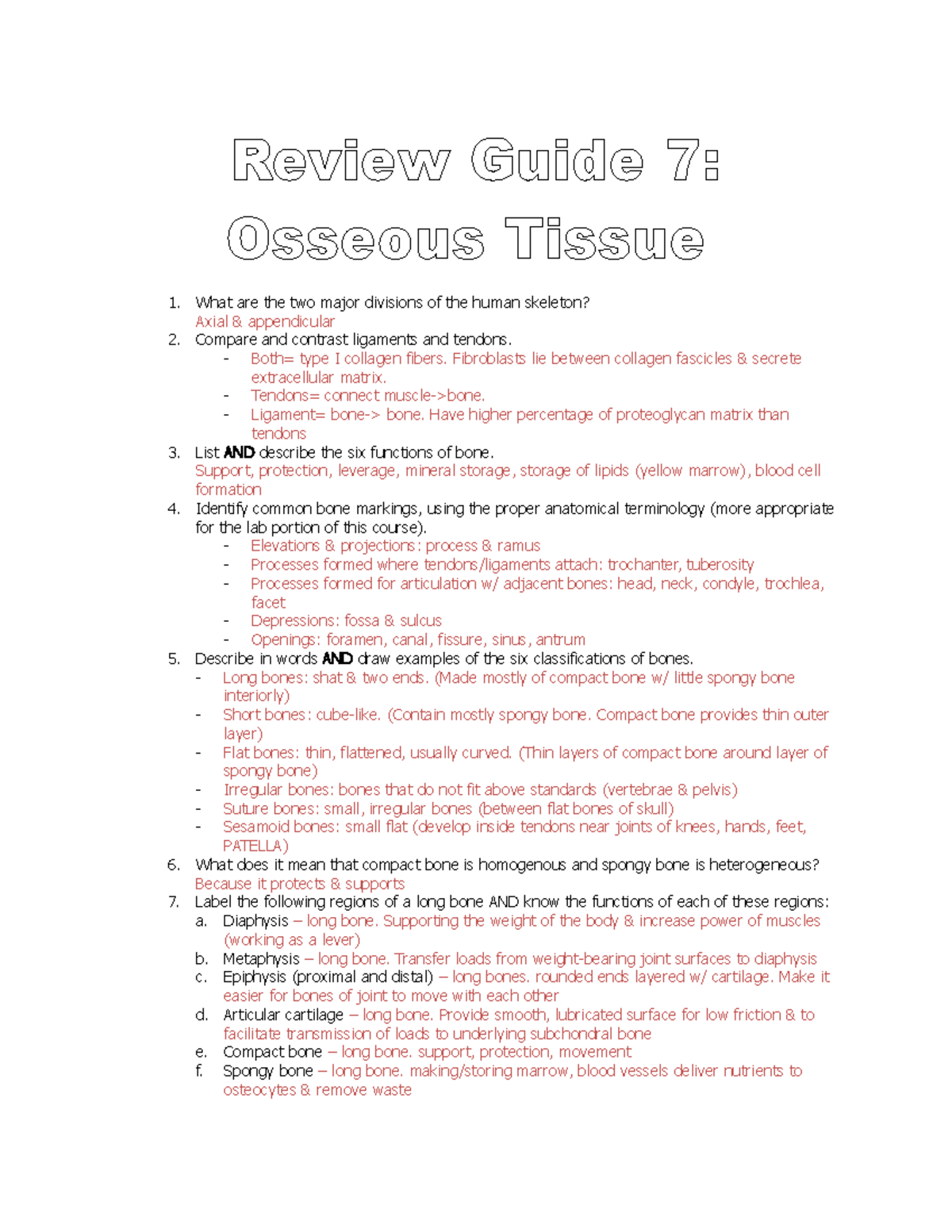 Osseous tissue study guide - What are the two major divisions of the ...