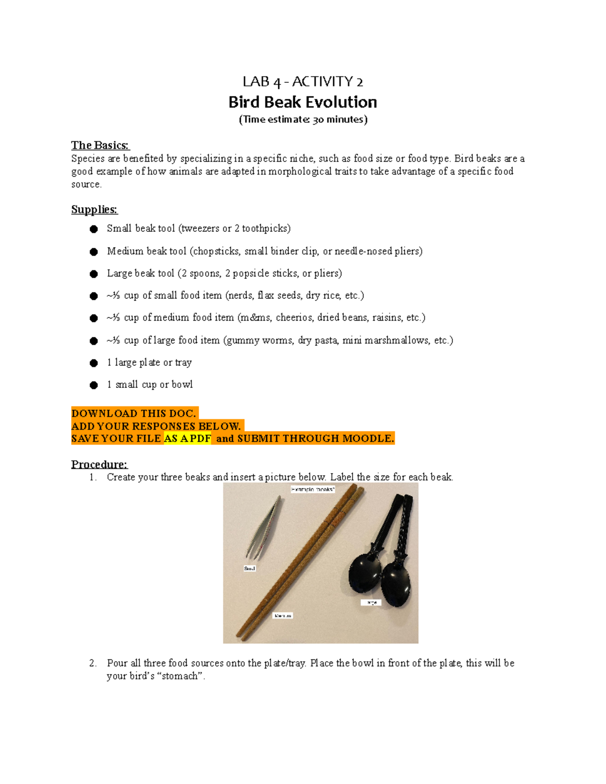 Copy of Lab4activity 2-Bird beak evolution - LAB 4 - ACTIVITY 2 Bird ...
