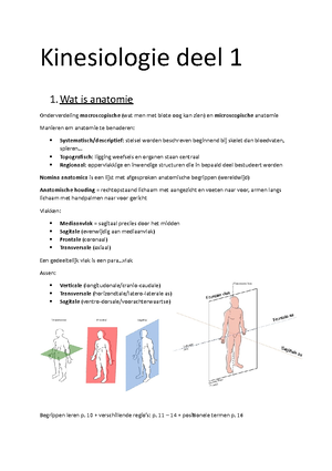Anatomie samenvatting vlakken - Bewegingen flexie : buigen anteflexie ...