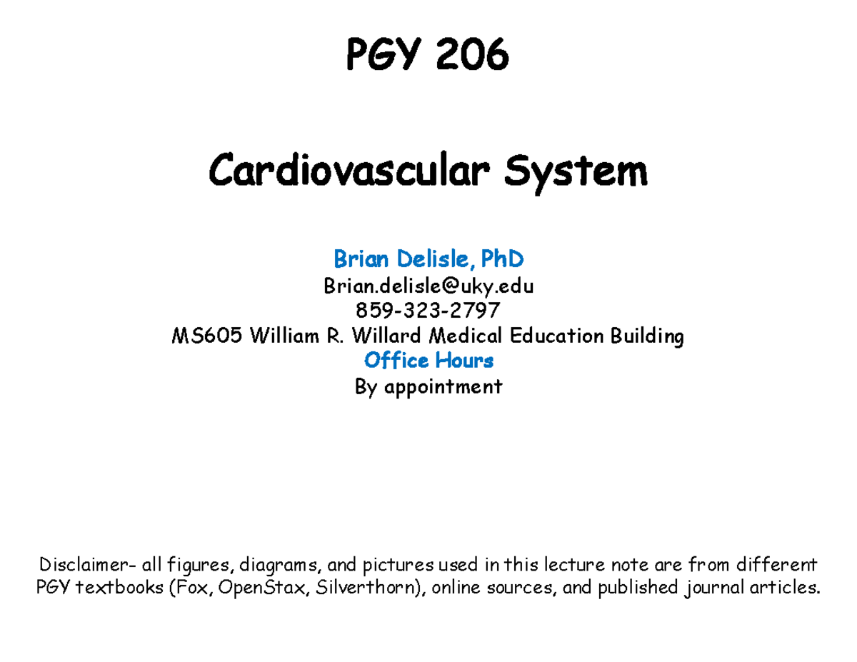 Cardiovascular Lecture Notes Pgy 206 Cardiovascular System Brian Delisle Phd Brian Uky 859