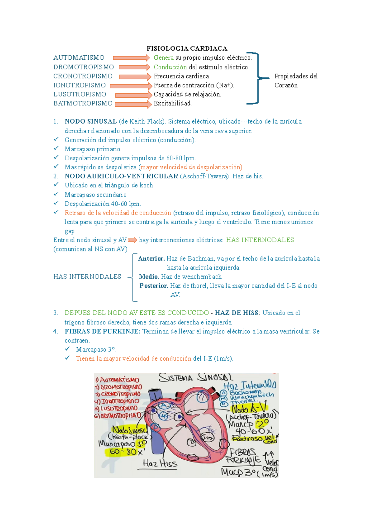 Fisio. pract. Cardiaca resumen video - FISIOLOGIA CARDIACA AUTOMATISMO ...