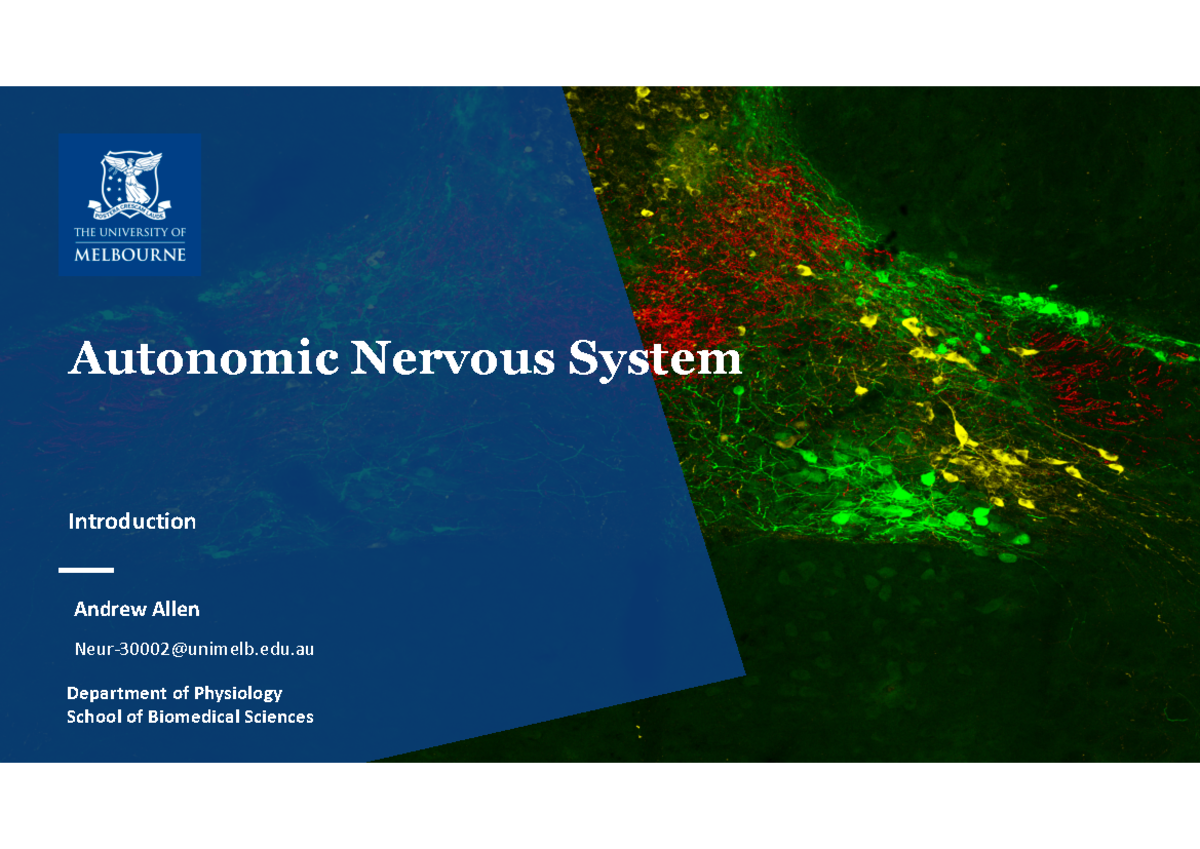 ANS 1 - Lecture notes for neurophysiology delivered by lecturer ...