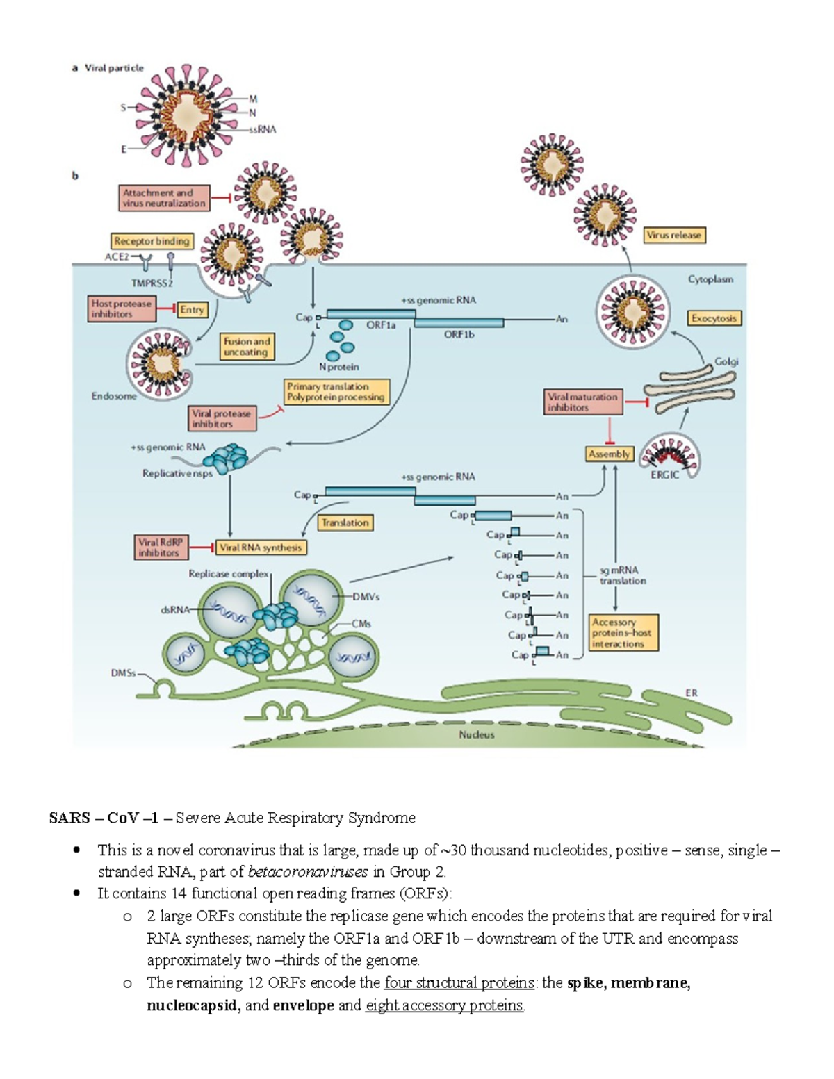 Qand A - Revision - Assessment/ lecture notes for the presentation ...
