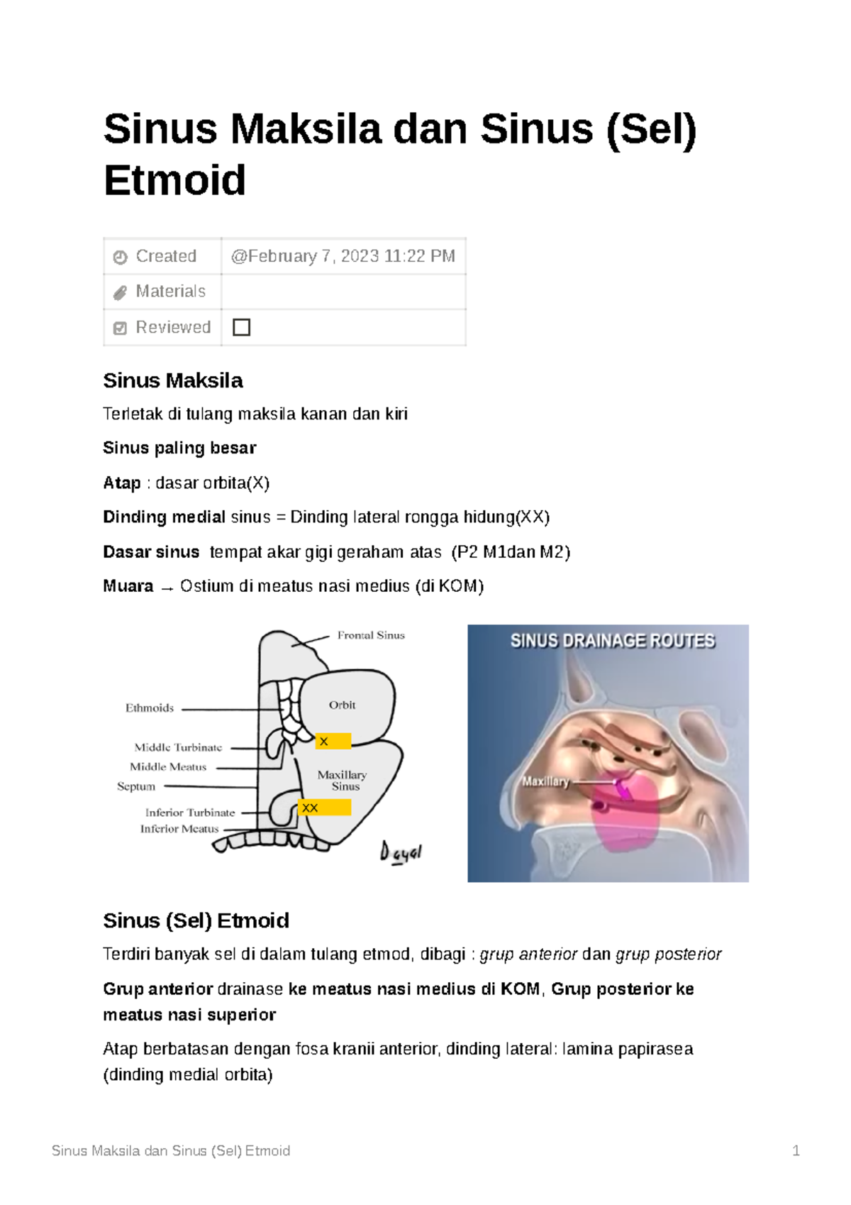 Sinus Maksila dan Sinus (Sel) Etmoid - Studocu